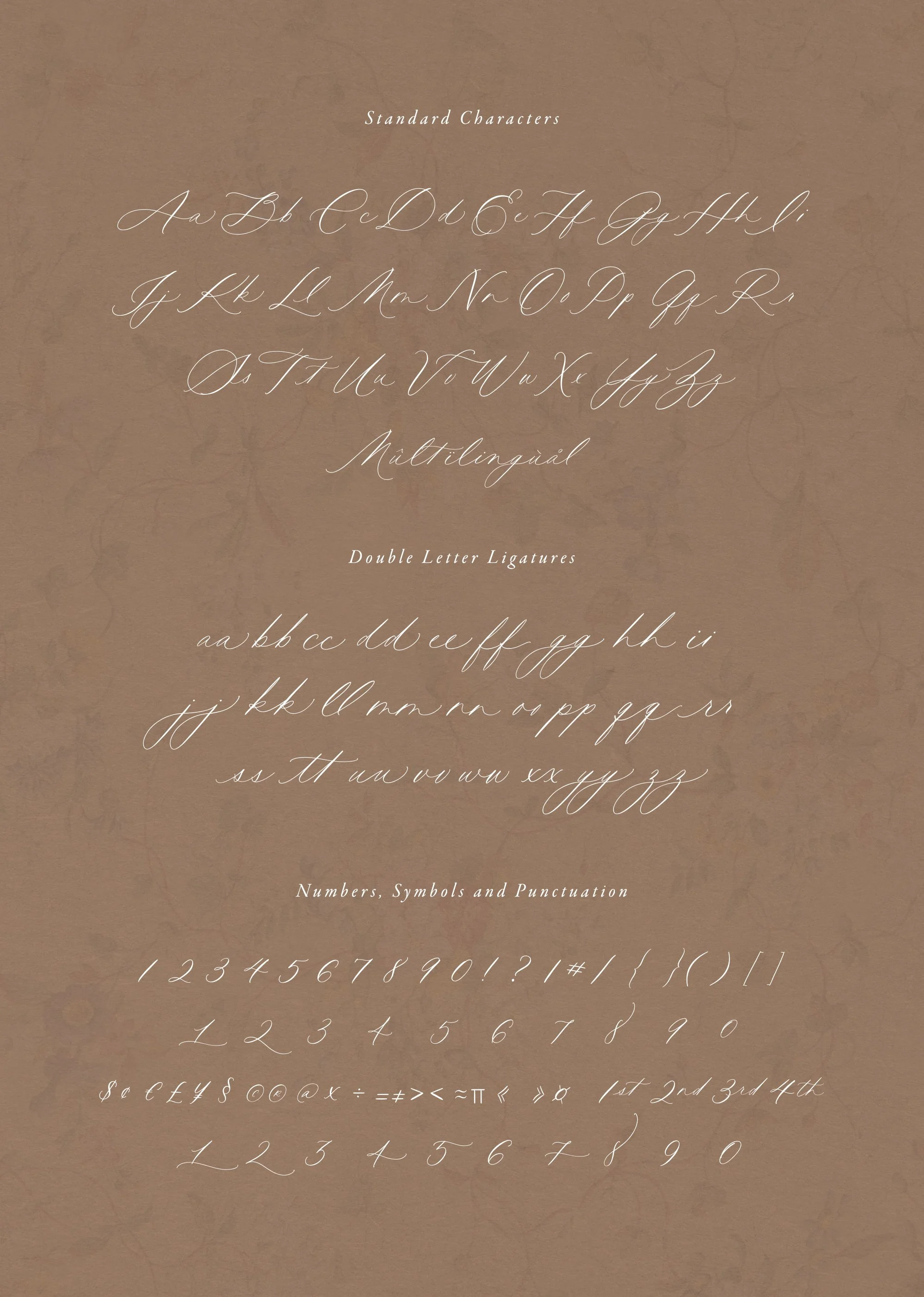 Plume Calligraphy Font — Plume Calligraphy