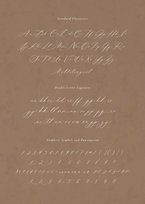 Plume Calligraphy Font — Plume Calligraphy