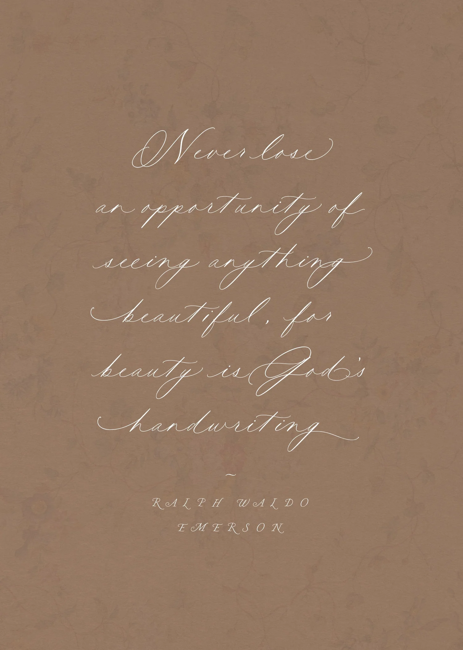 Plume Calligraphy Font — Plume Calligraphy
