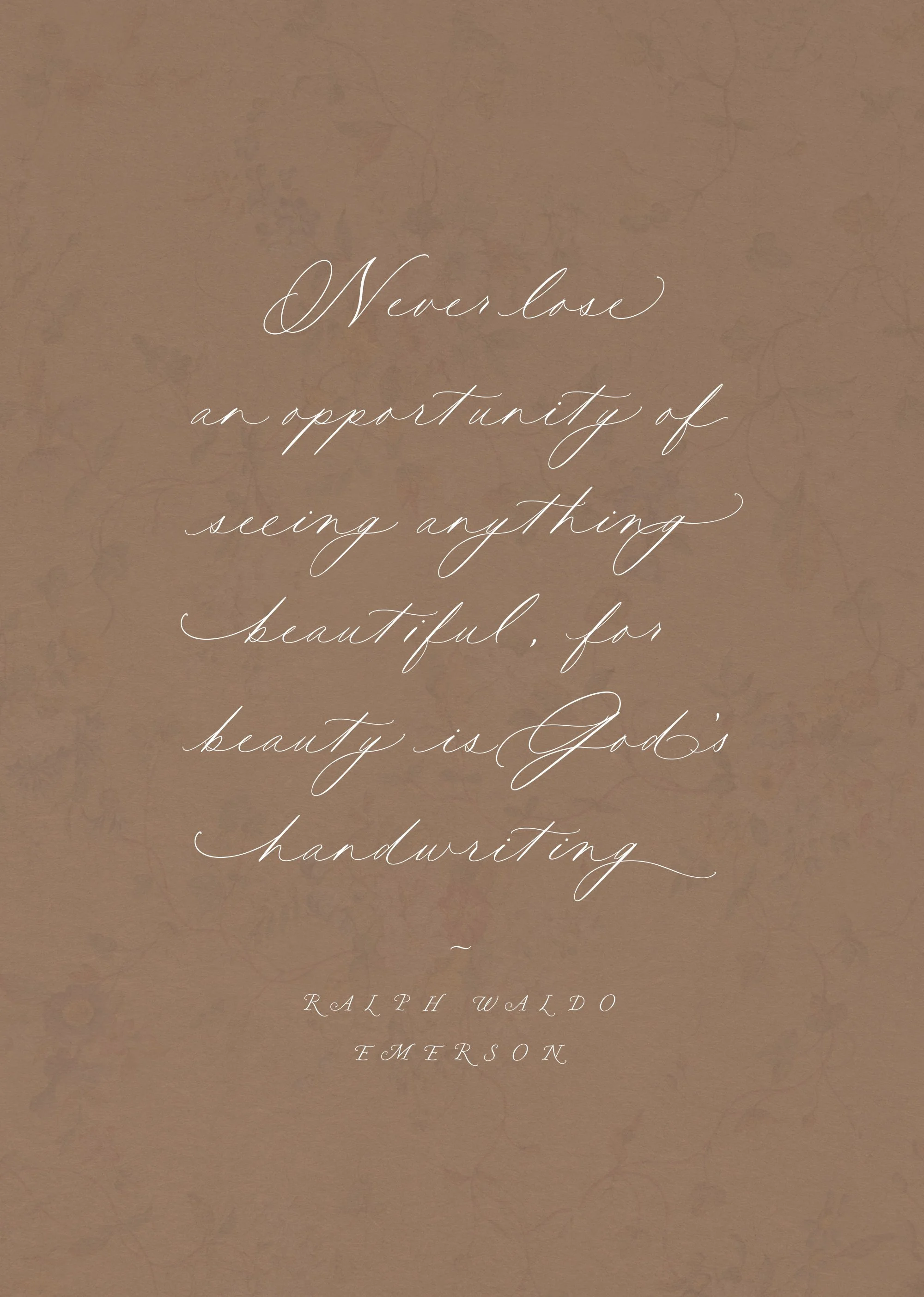 Plume Calligraphy Font — Plume Calligraphy