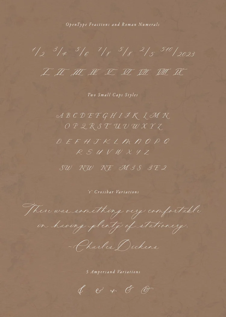 Plume Calligraphy Font — Plume Calligraphy