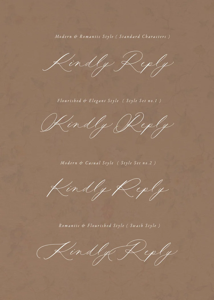 Plume Calligraphy Font — Plume Calligraphy
