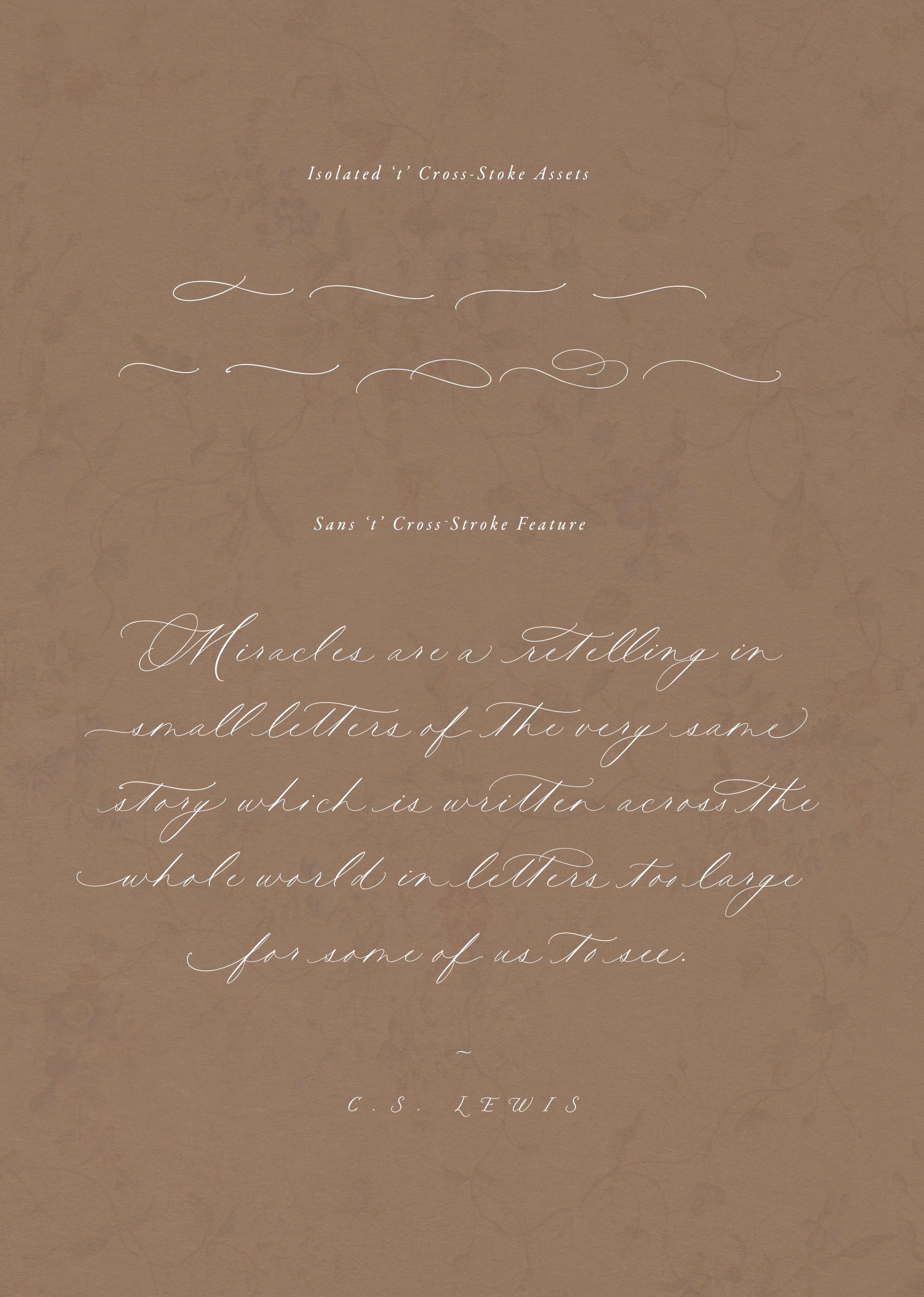 Plume Calligraphy Font — Plume Calligraphy