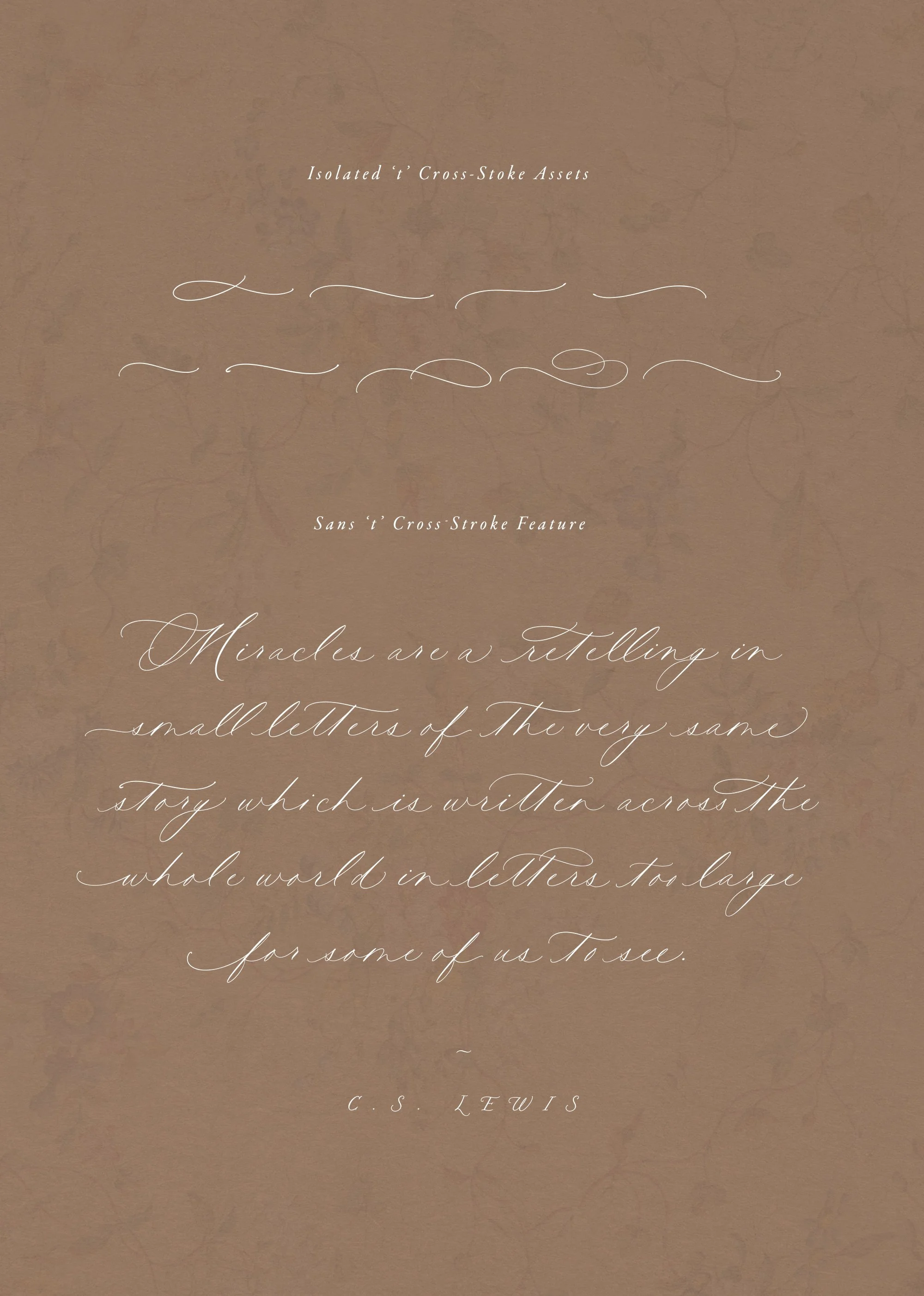 Plume Calligraphy Font — Plume Calligraphy