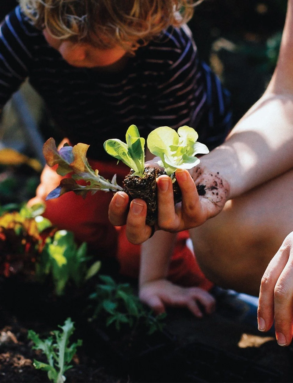 People Development Tenet — GOODLIFE