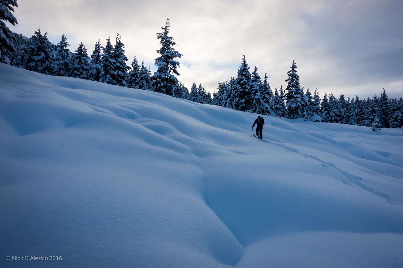 Blog by Nick D'Alessio - Weekend Heli-ski and Mid-week Backcountry Touring