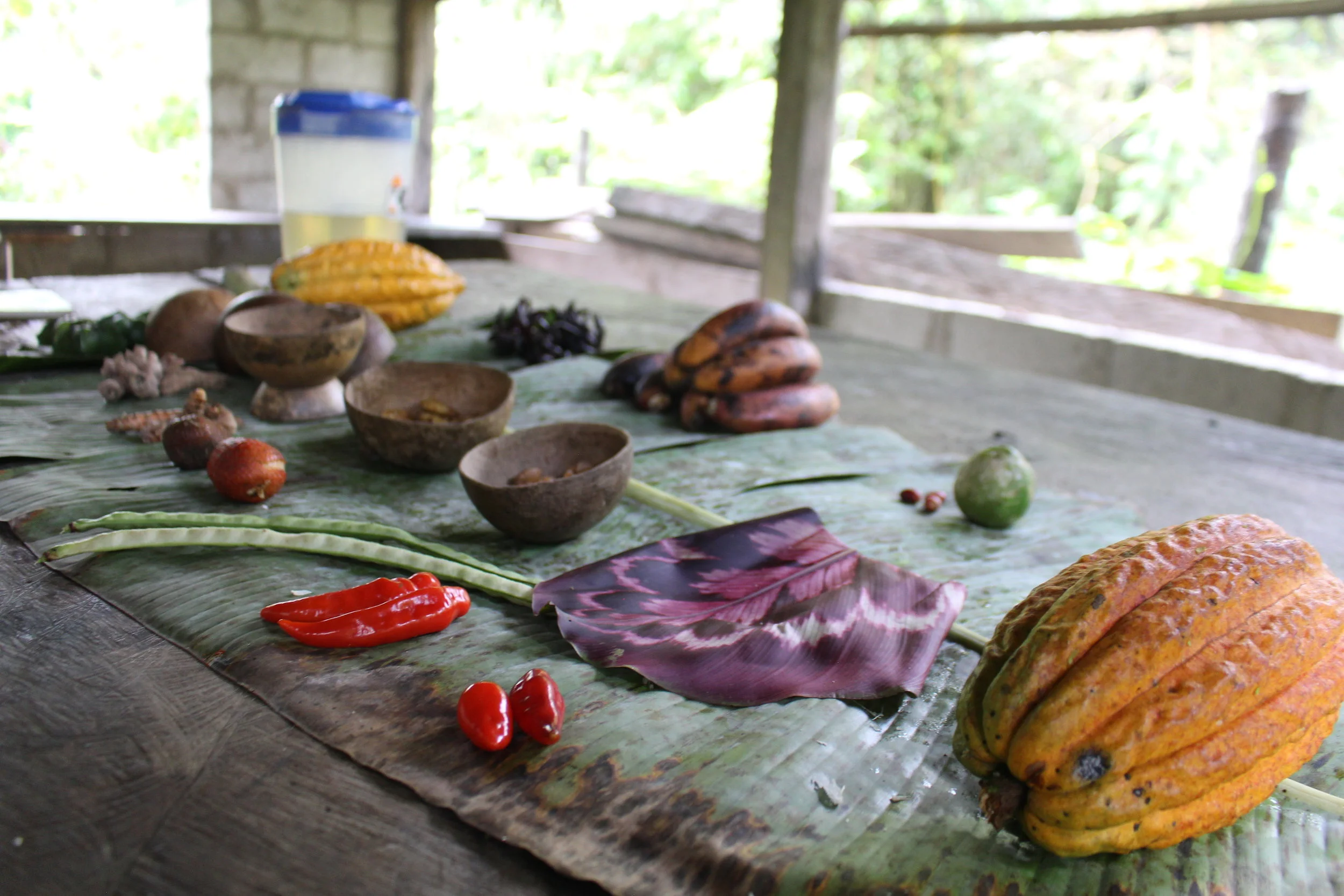 Food Of The Amazon Forest