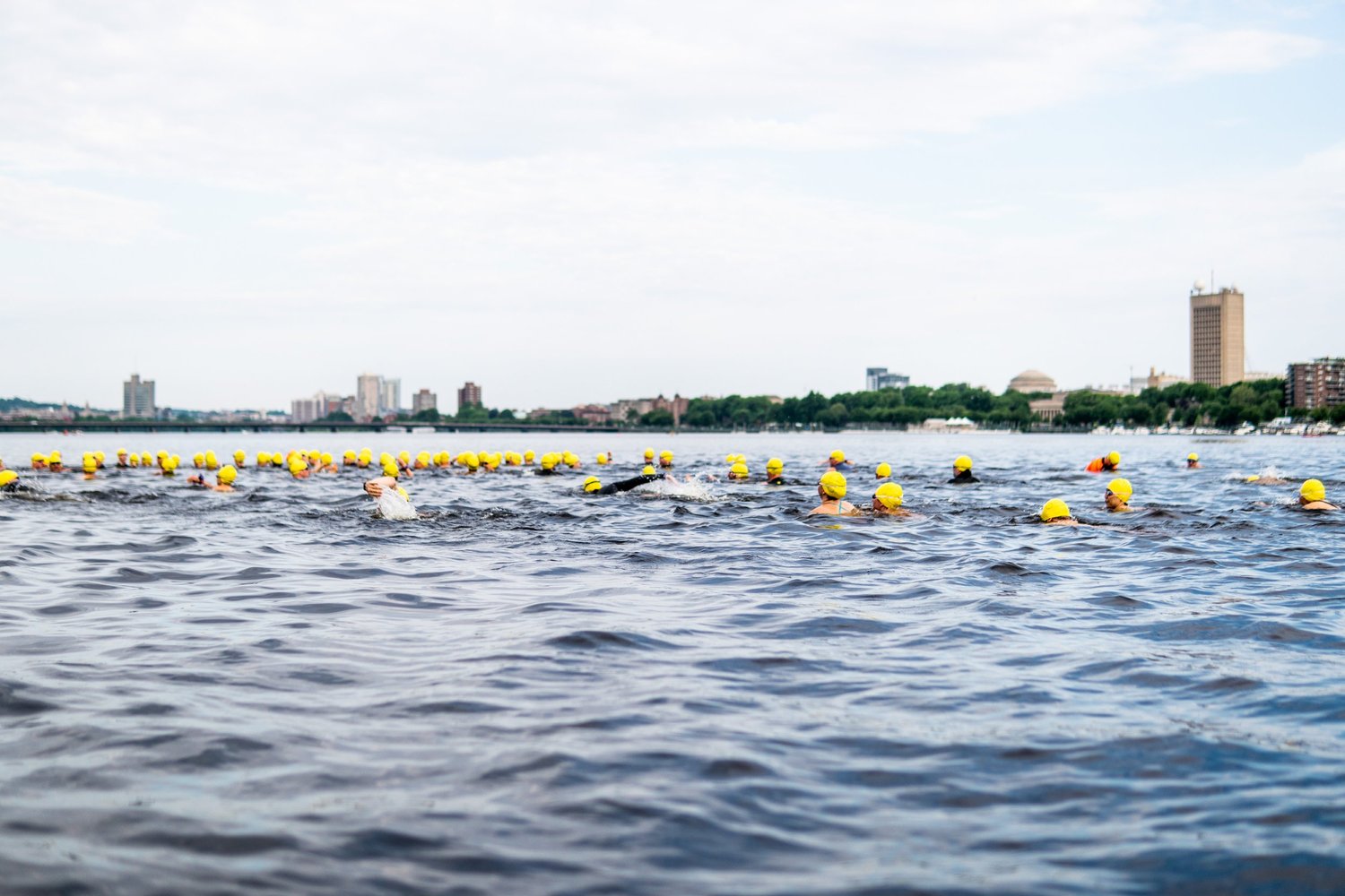 New England Open Water Series Debuts Summer 2024 — New England LMSC