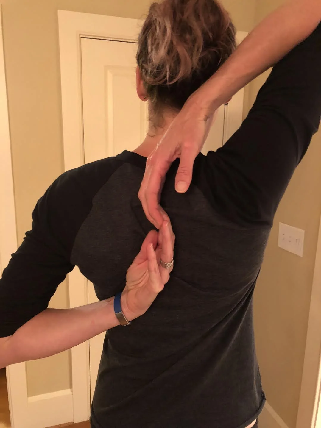 USMS National Coaches Clinic: 5 Key Takeaways from a Triathlete’s ...