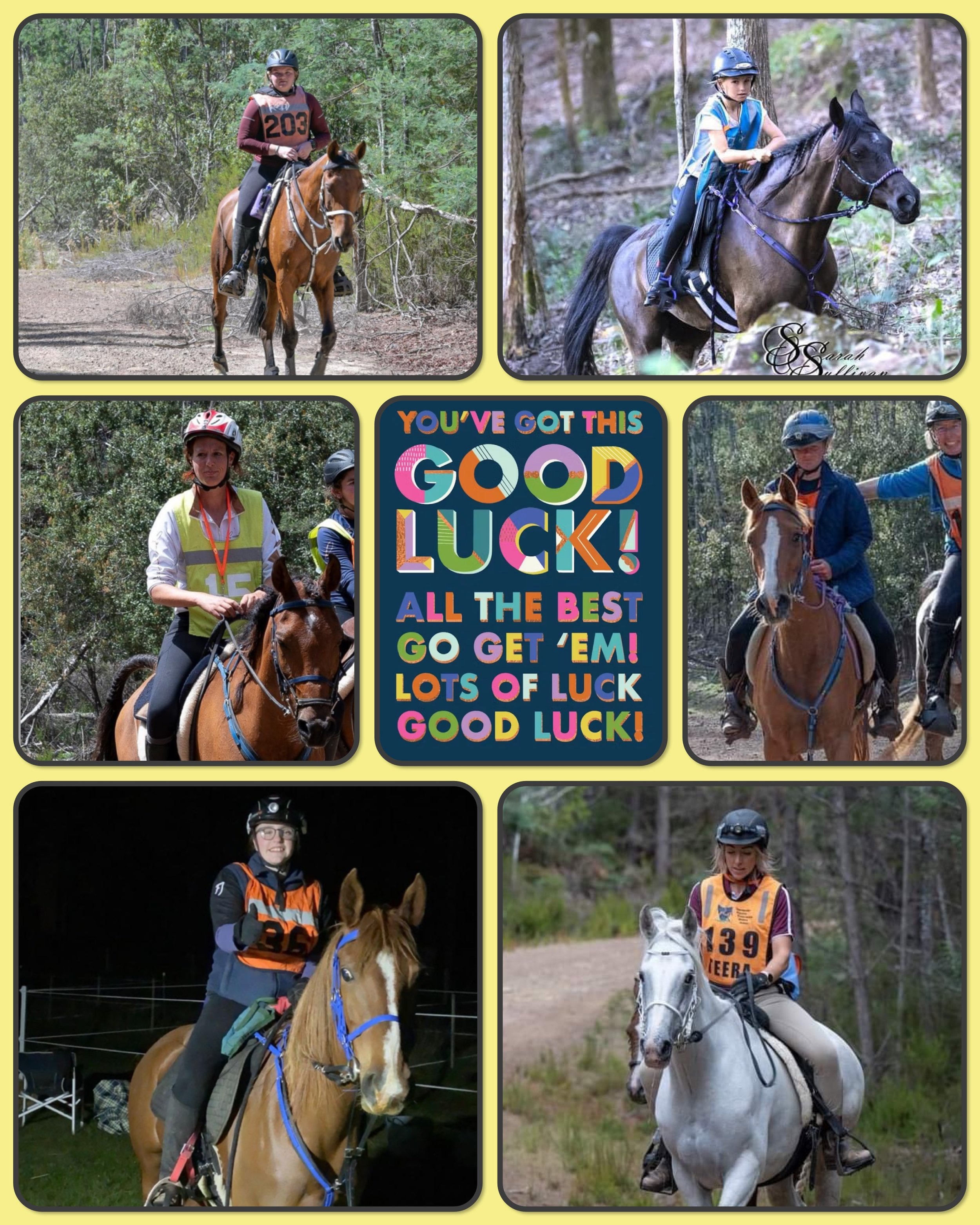 Tasmanian Equine Endurance Riders Association Inc.