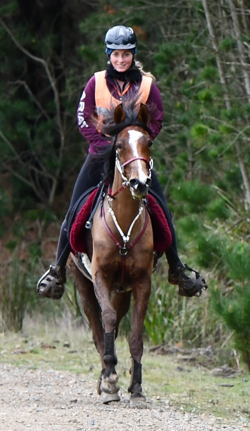 MEER-Merseylea- 07 Sptember 2019 — Tasmanian Equine Endurance Riders ...