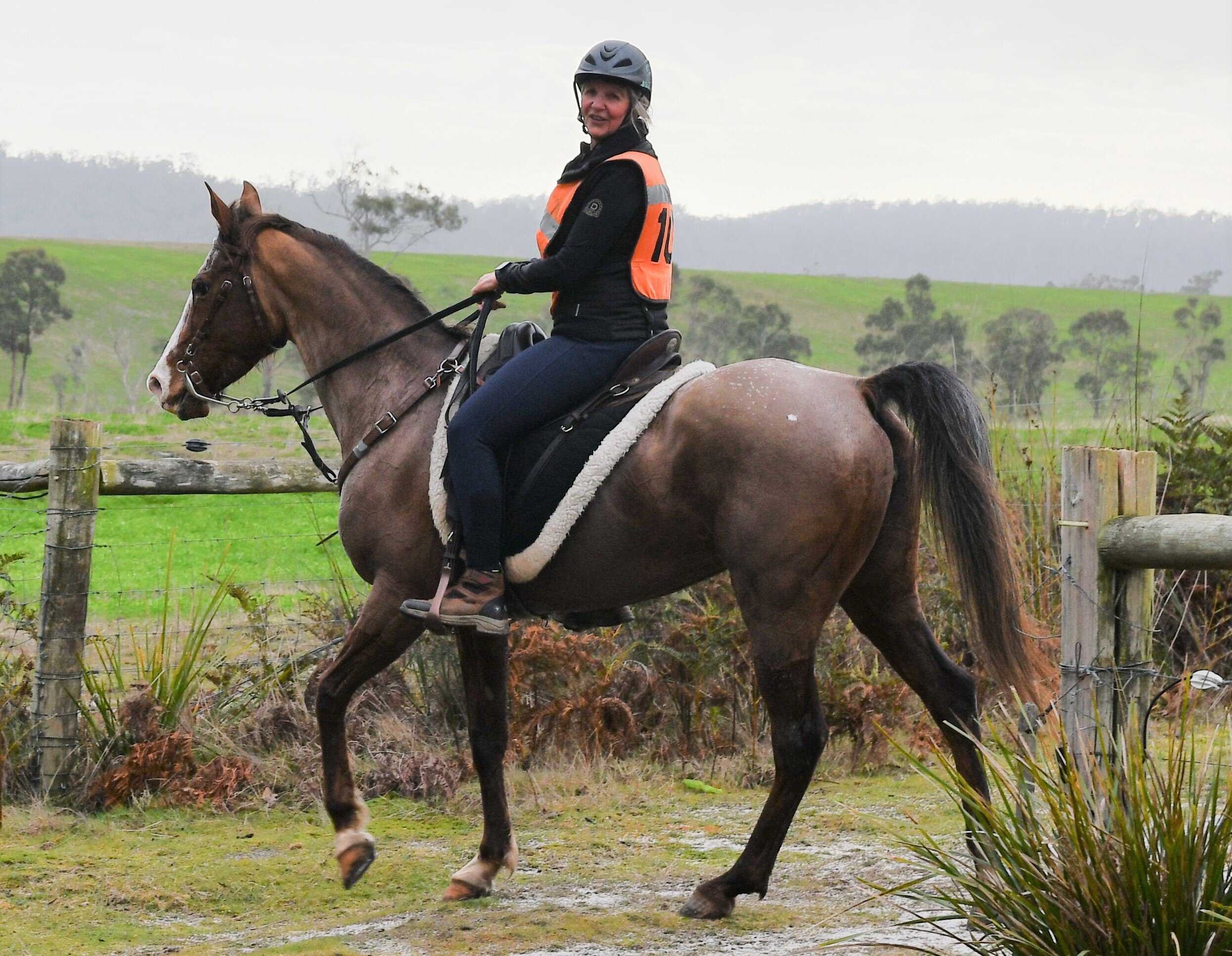 NEEEC - Jolly Lette 24 August 2019 — Tasmanian Equine Endurance Riders ...
