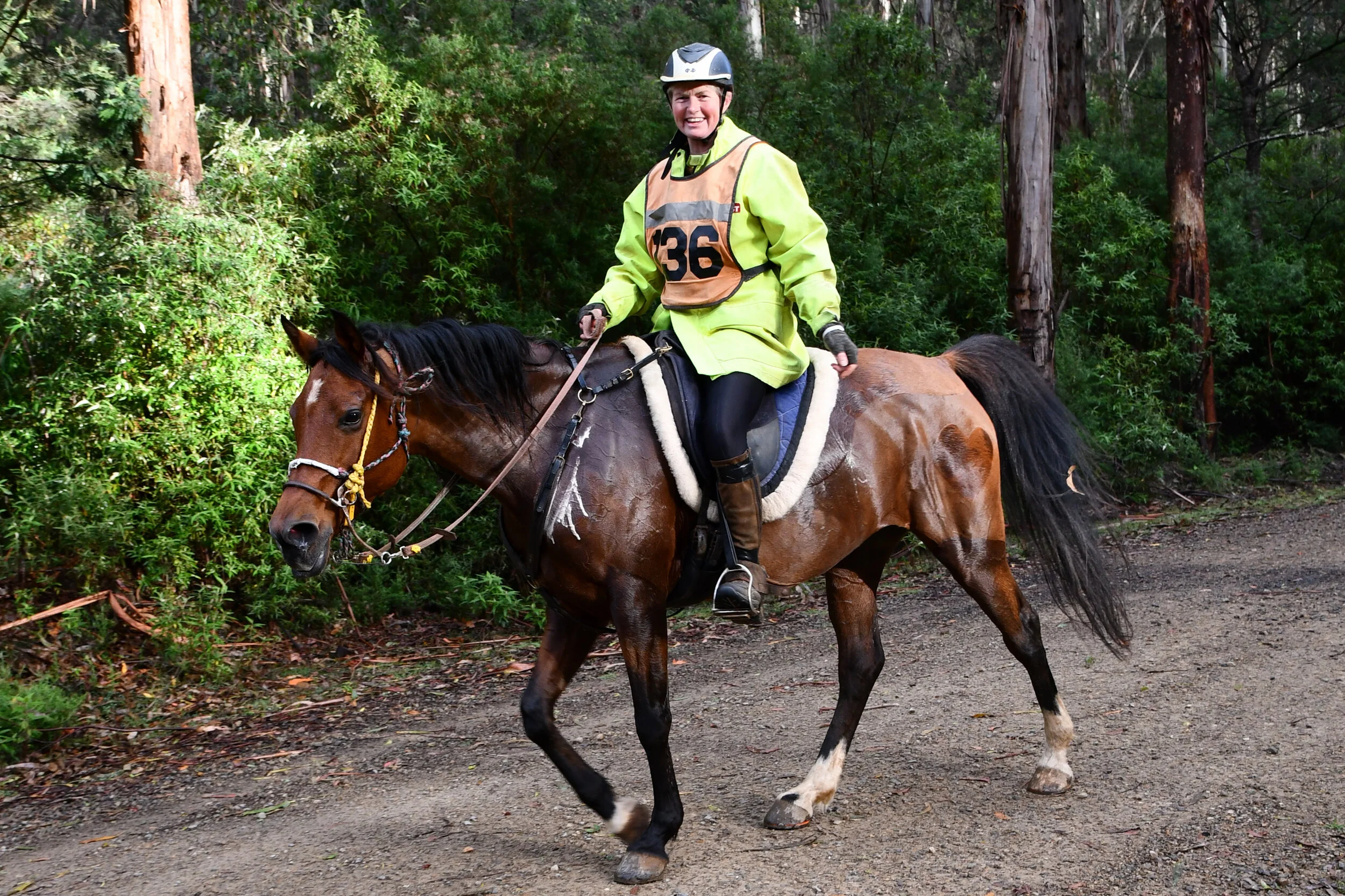 Johnny Green Pyengana - 14 April 2018 — Tasmanian Equine Endurance ...