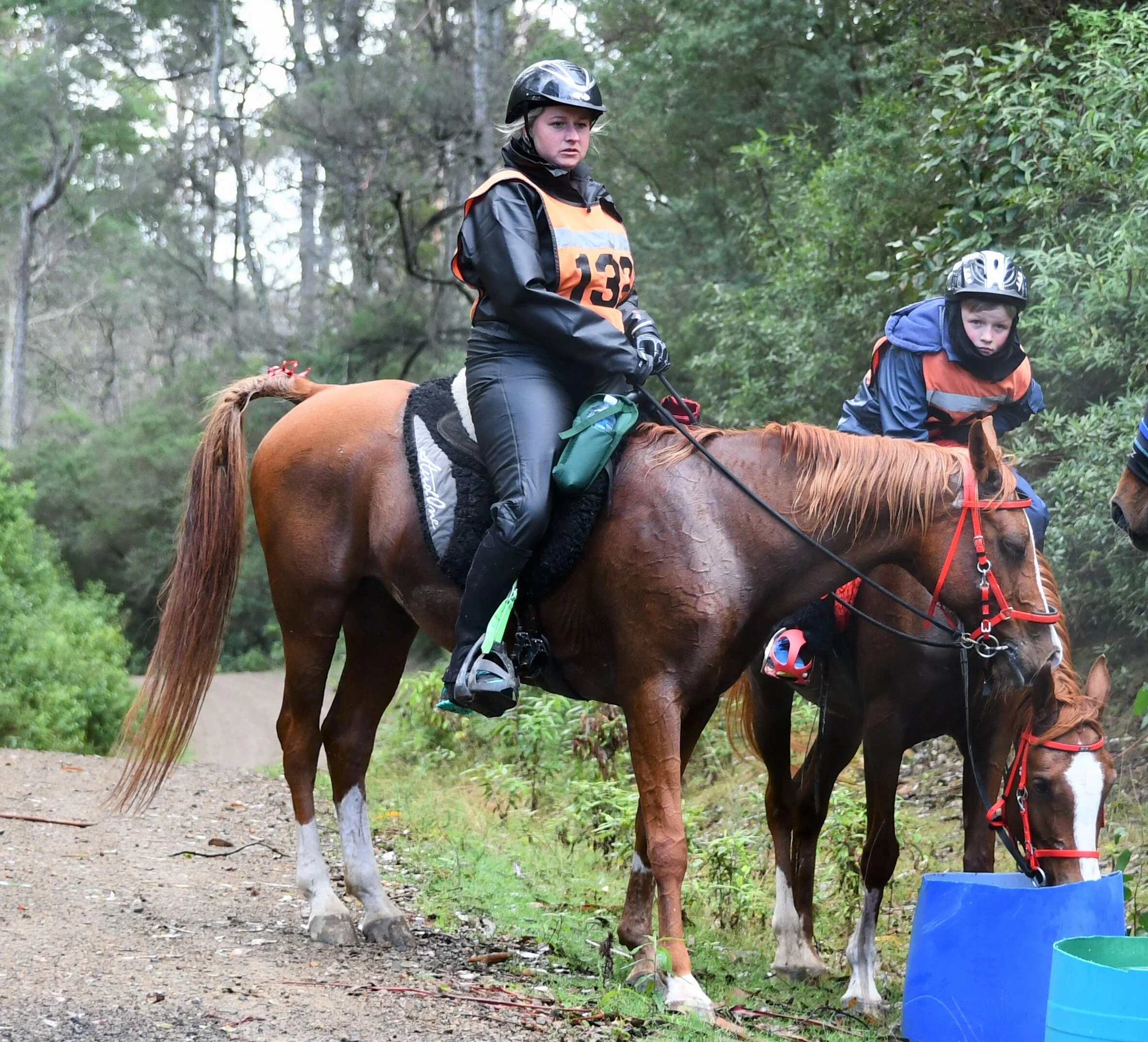 Johnny Green Pyengana - 14 April 2018 — Tasmanian Equine Endurance ...