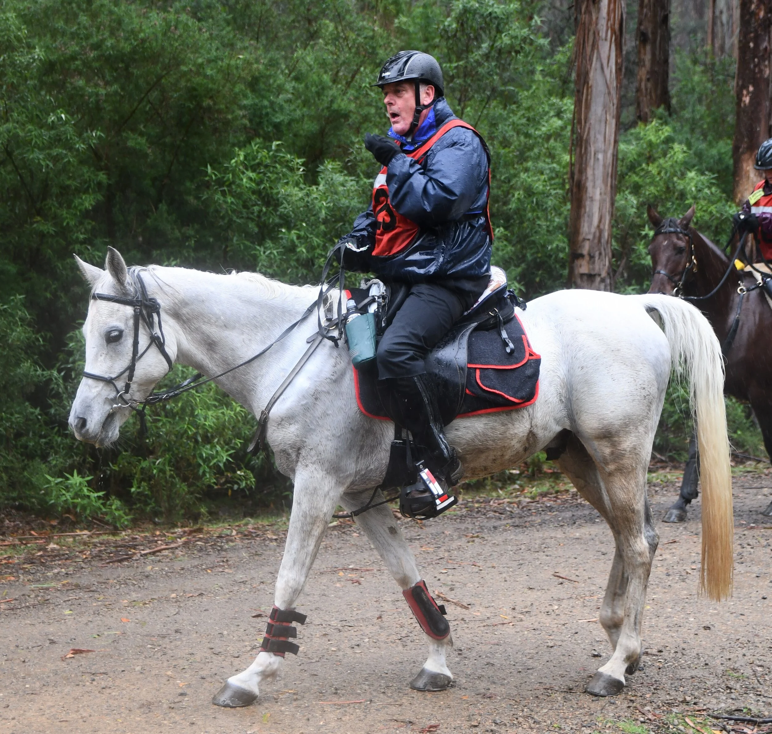 Johnny Green Pyengana - 14 April 2018 — Tasmanian Equine Endurance ...