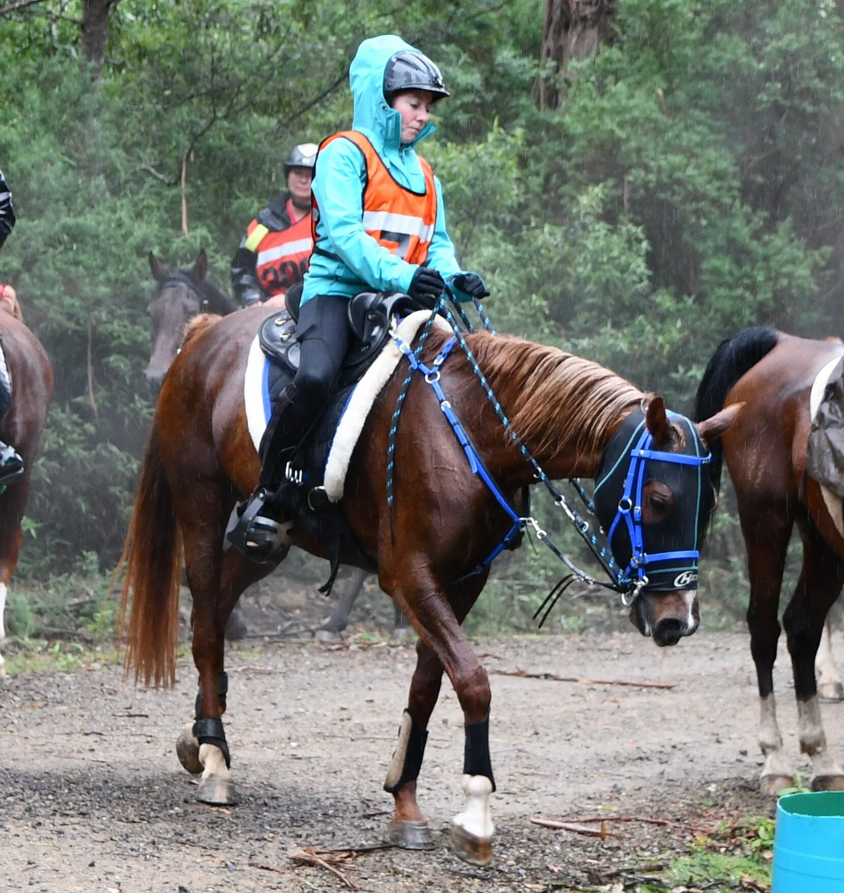 Johnny Green Pyengana - 14 April 2018 — Tasmanian Equine Endurance ...