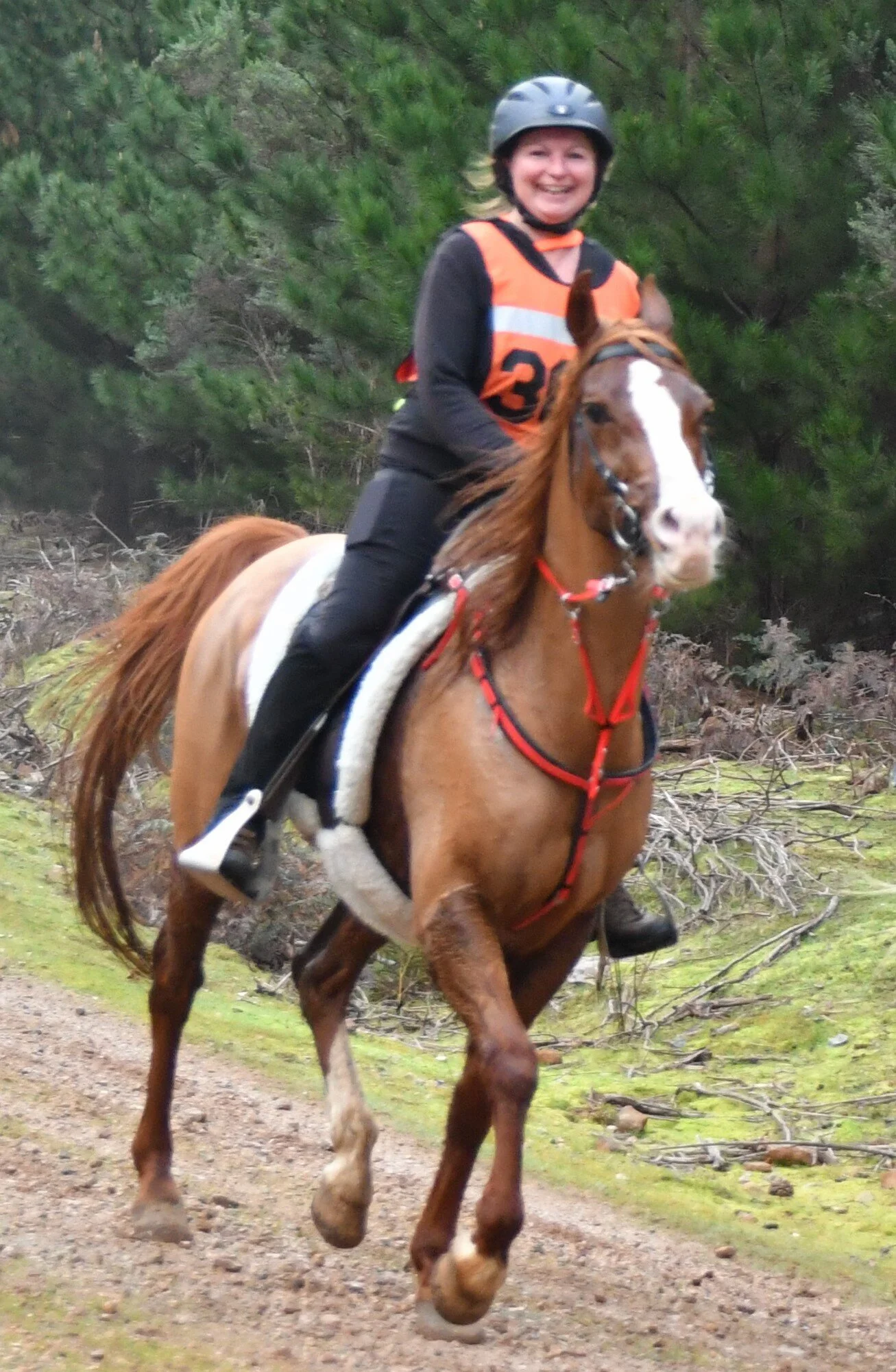 200801-COVID Buster — Tasmanian Equine Endurance Riders Association Inc.