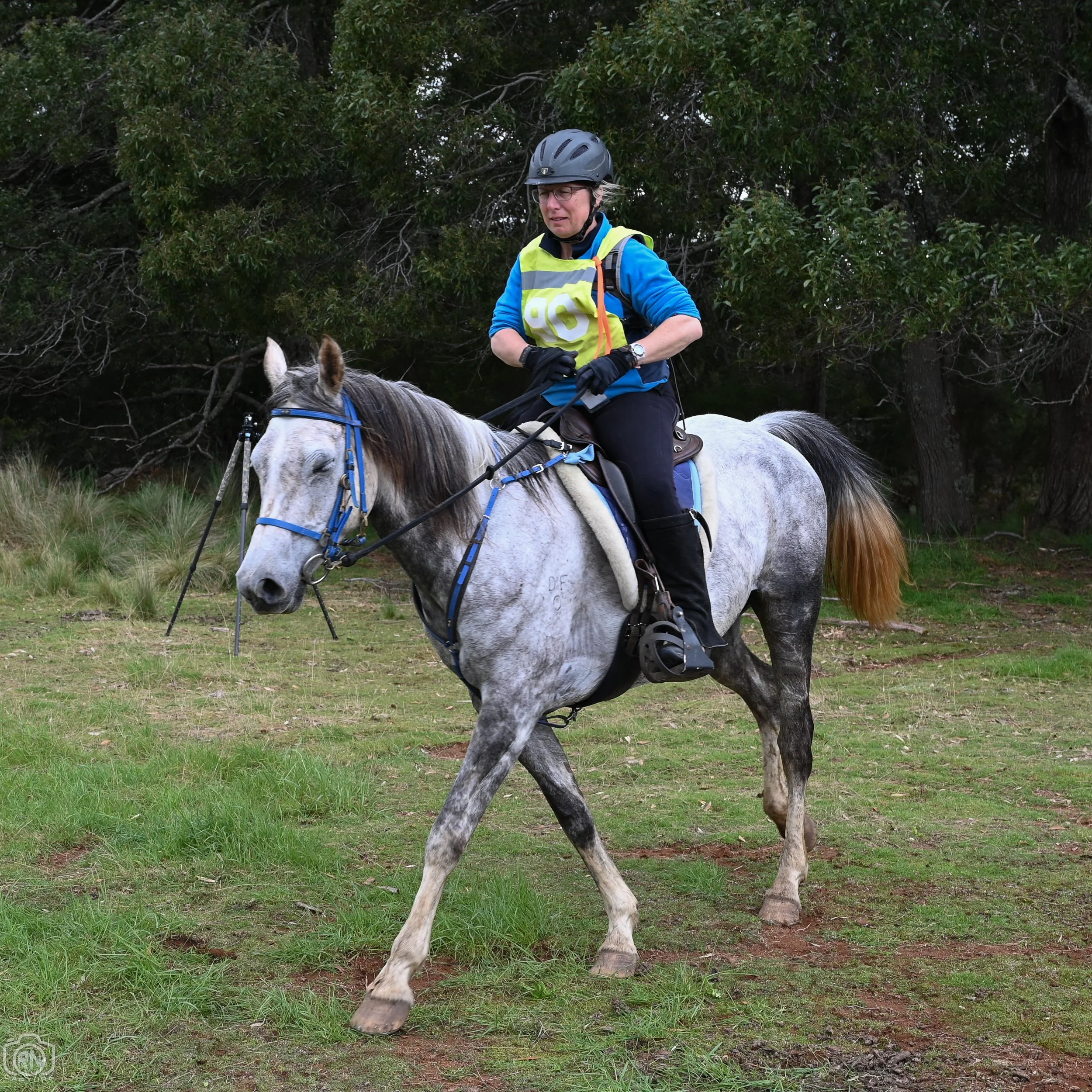 Gallery-2021 State Champs — Tasmanian Equine Endurance Riders ...