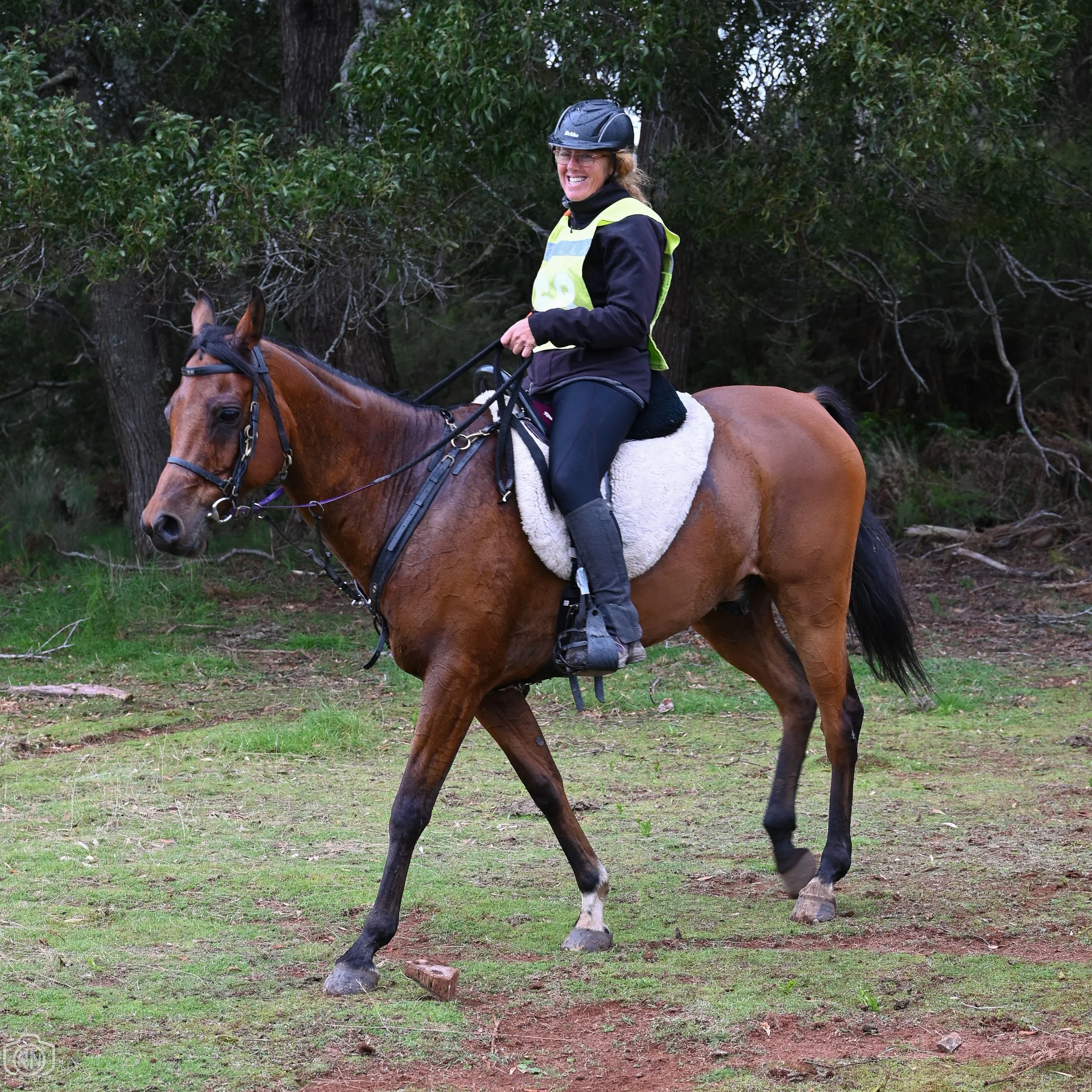 Gallery-2021 State Champs — Tasmanian Equine Endurance Riders ...