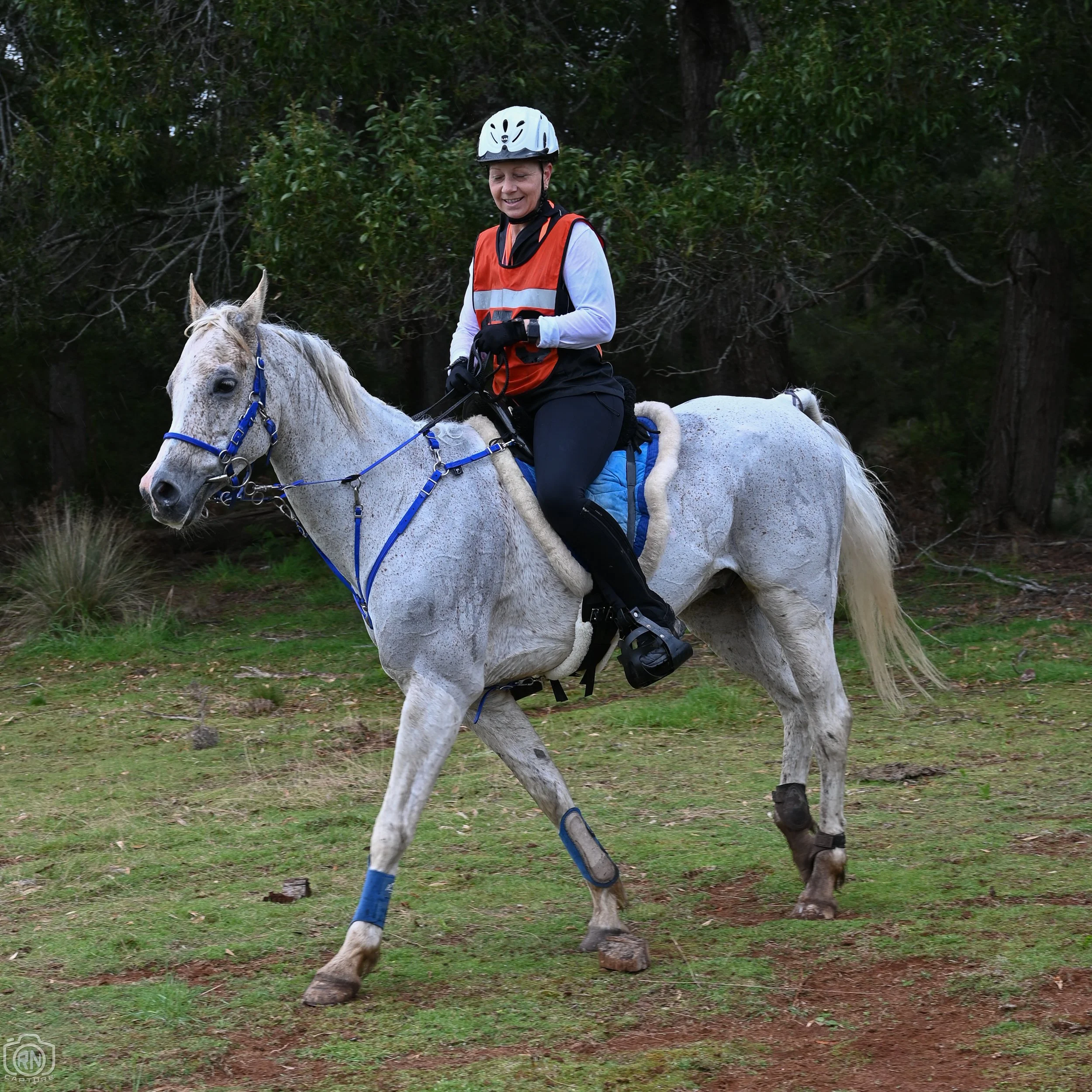 Gallery-2021 State Champs — Tasmanian Equine Endurance Riders ...