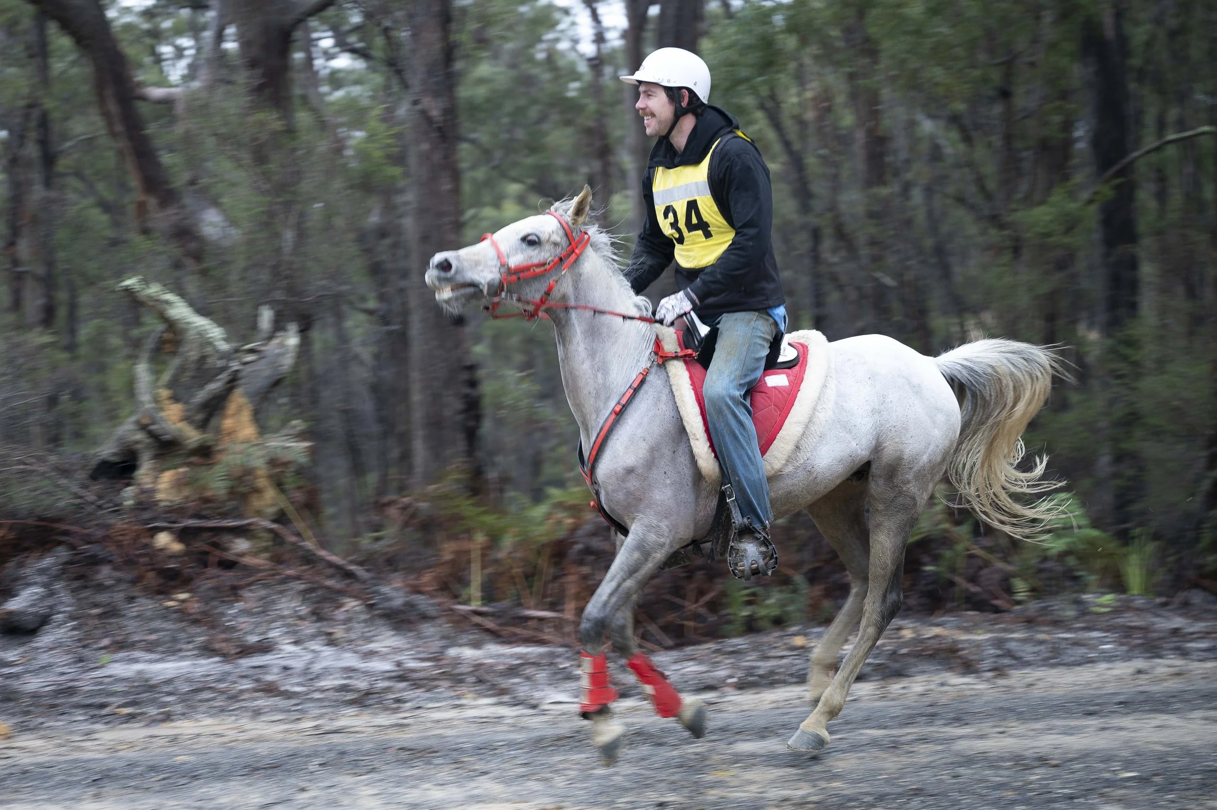 Gallery-230728-Lebrina — Tasmanian Equine Endurance Riders Association Inc.