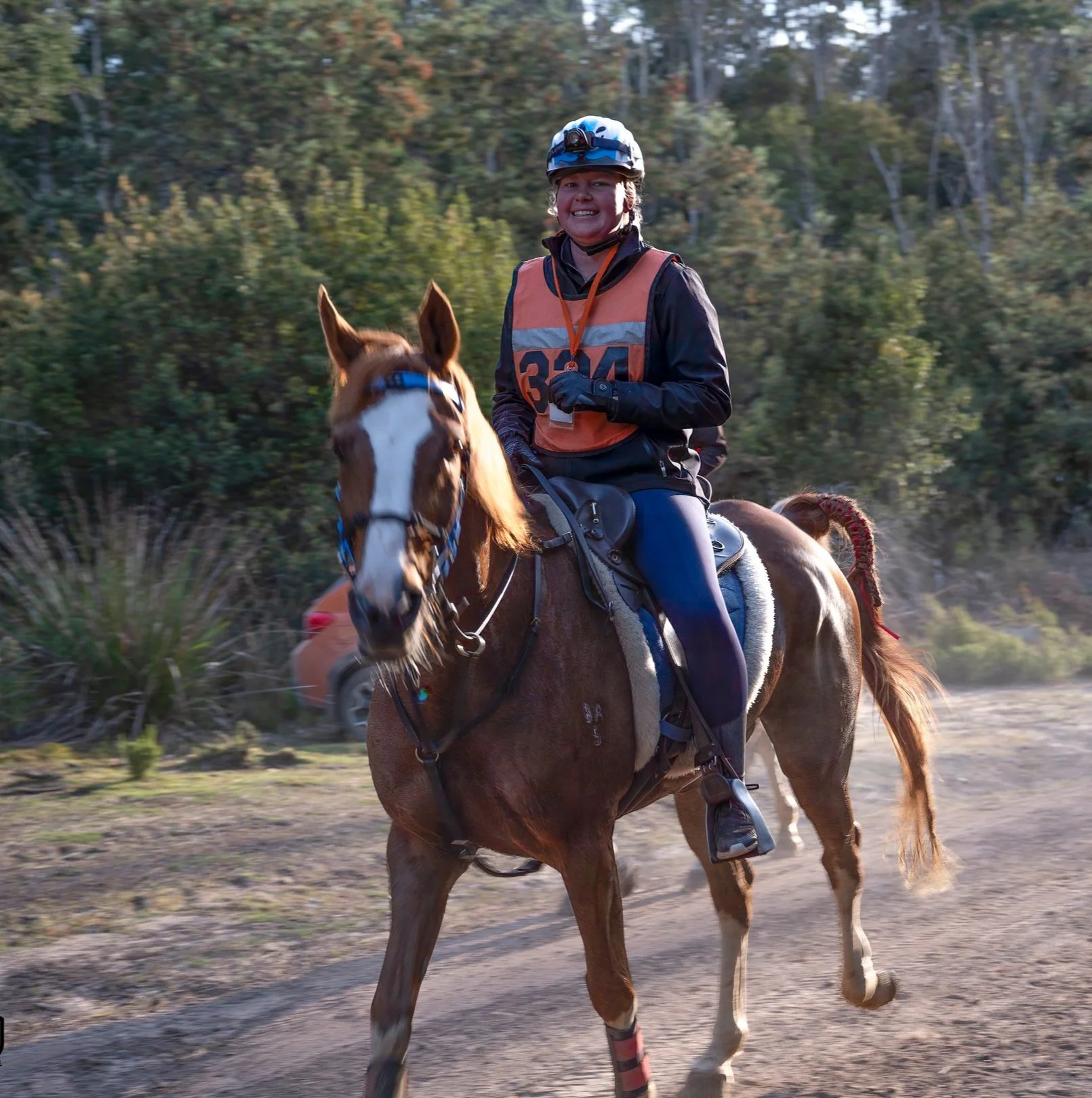 Gallery - 2023 State Champs — Tasmanian Equine Endurance Riders ...