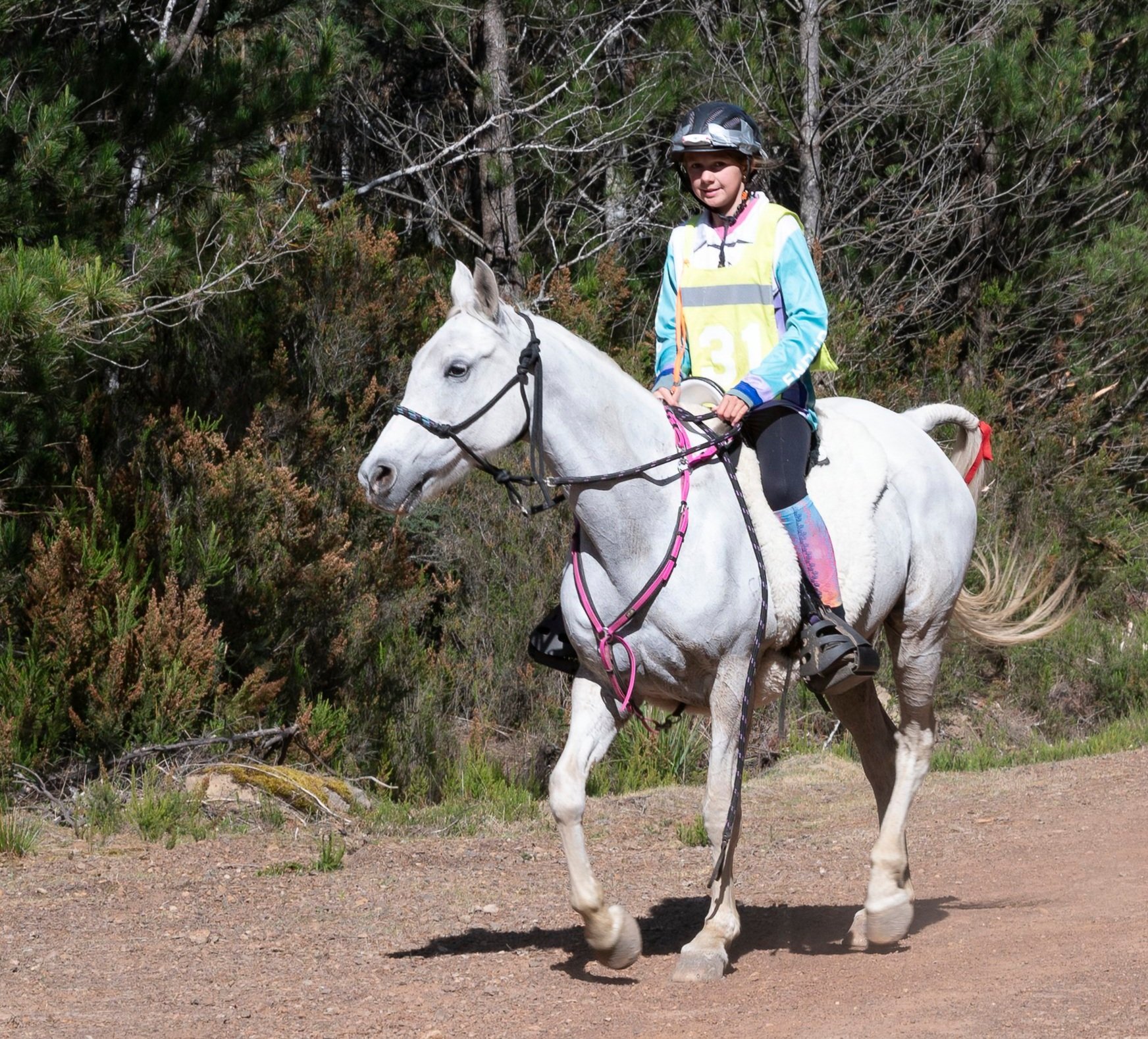 Gallery - 2023 State Champs — Tasmanian Equine Endurance Riders ...