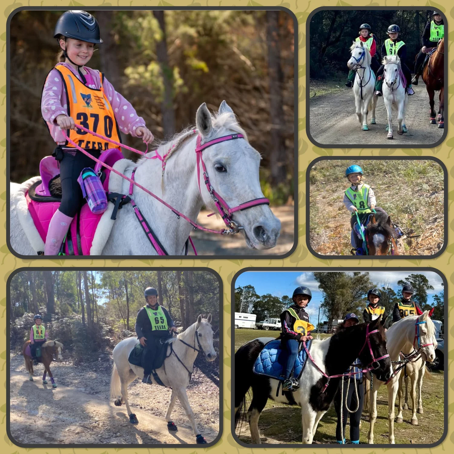 Tasmanian Equine Endurance Riders Association Inc.