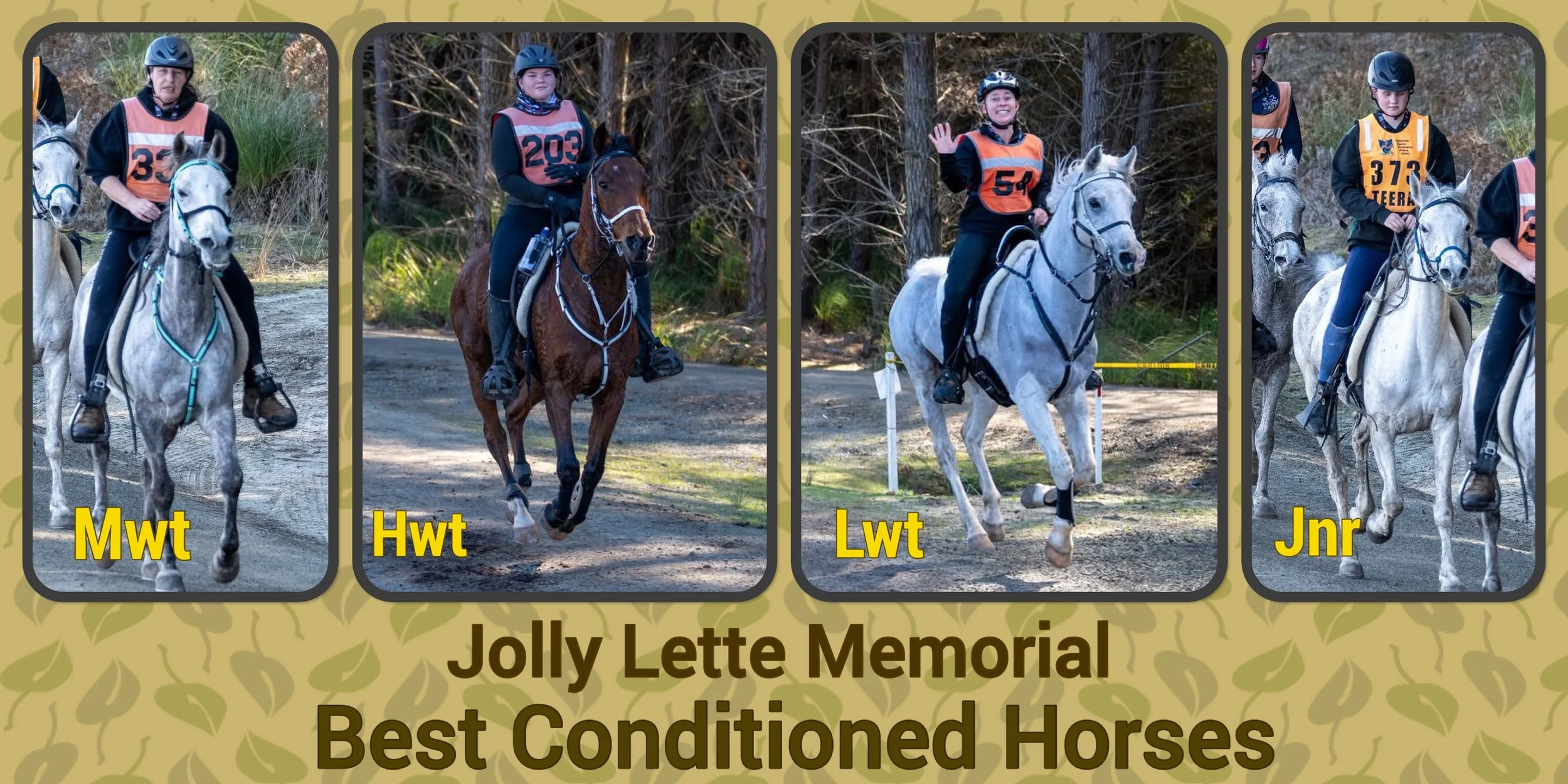 Tasmanian Equine Endurance Riders Association Inc.