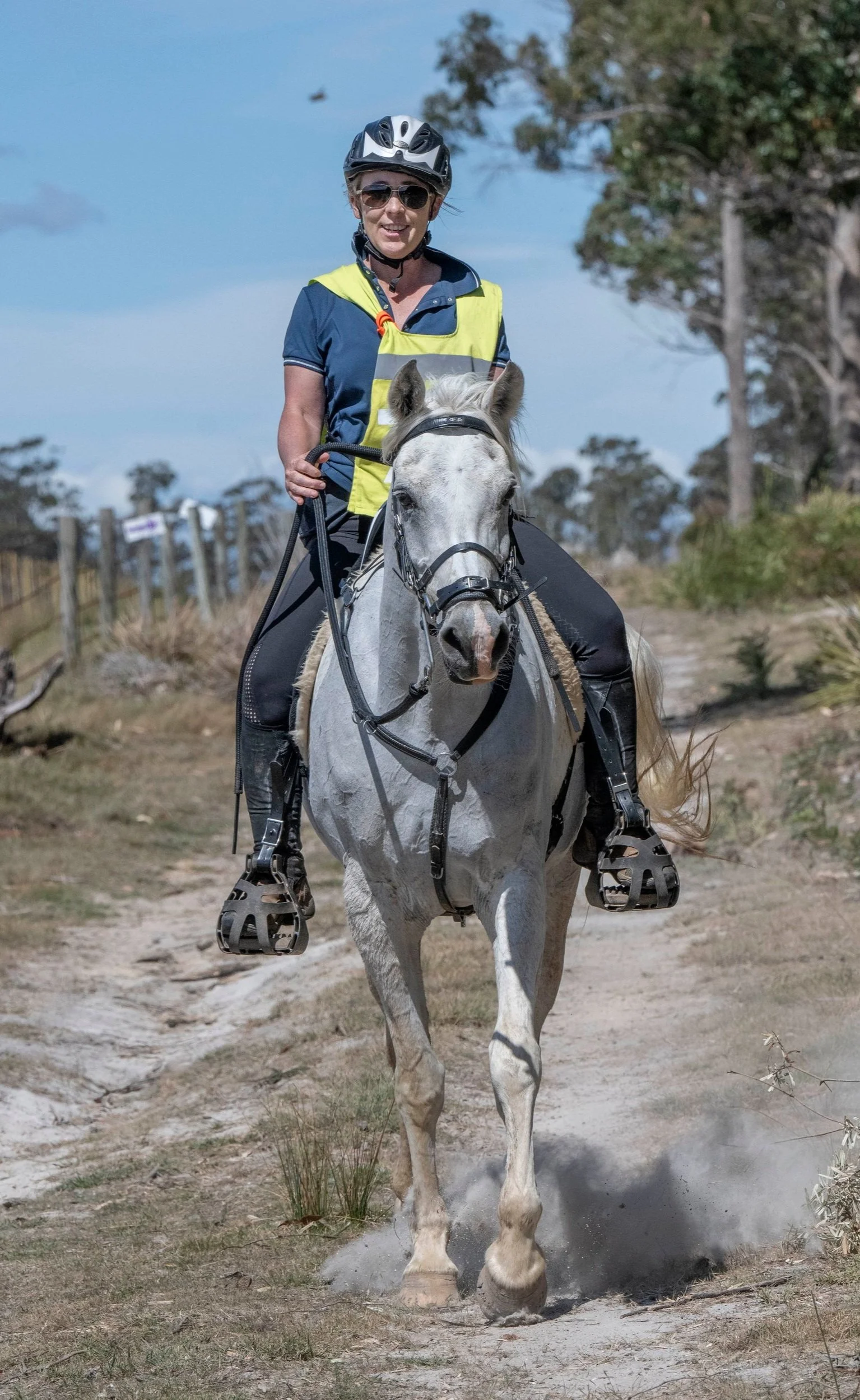 Gallery - 2023 State Champs — Tasmanian Equine Endurance Riders ...
