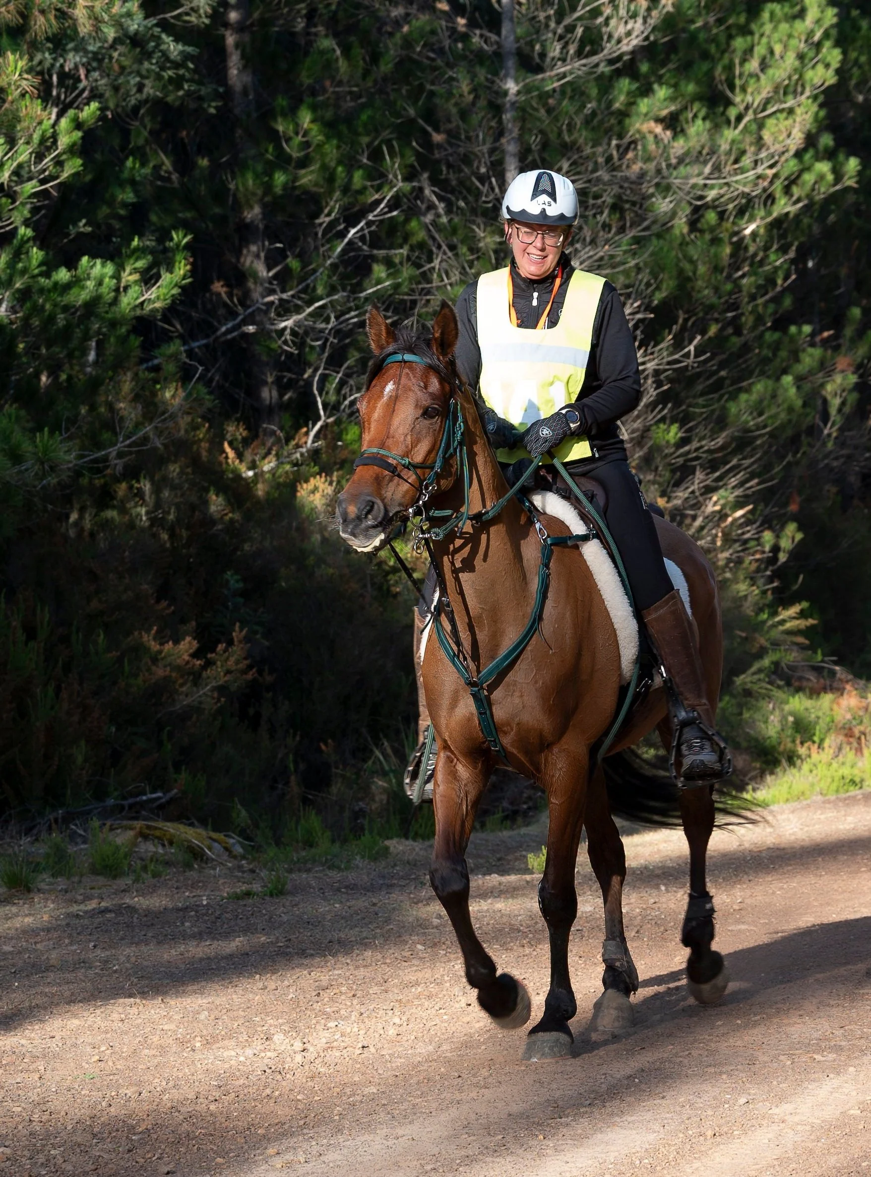 Gallery - 2023 State Champs — Tasmanian Equine Endurance Riders ...