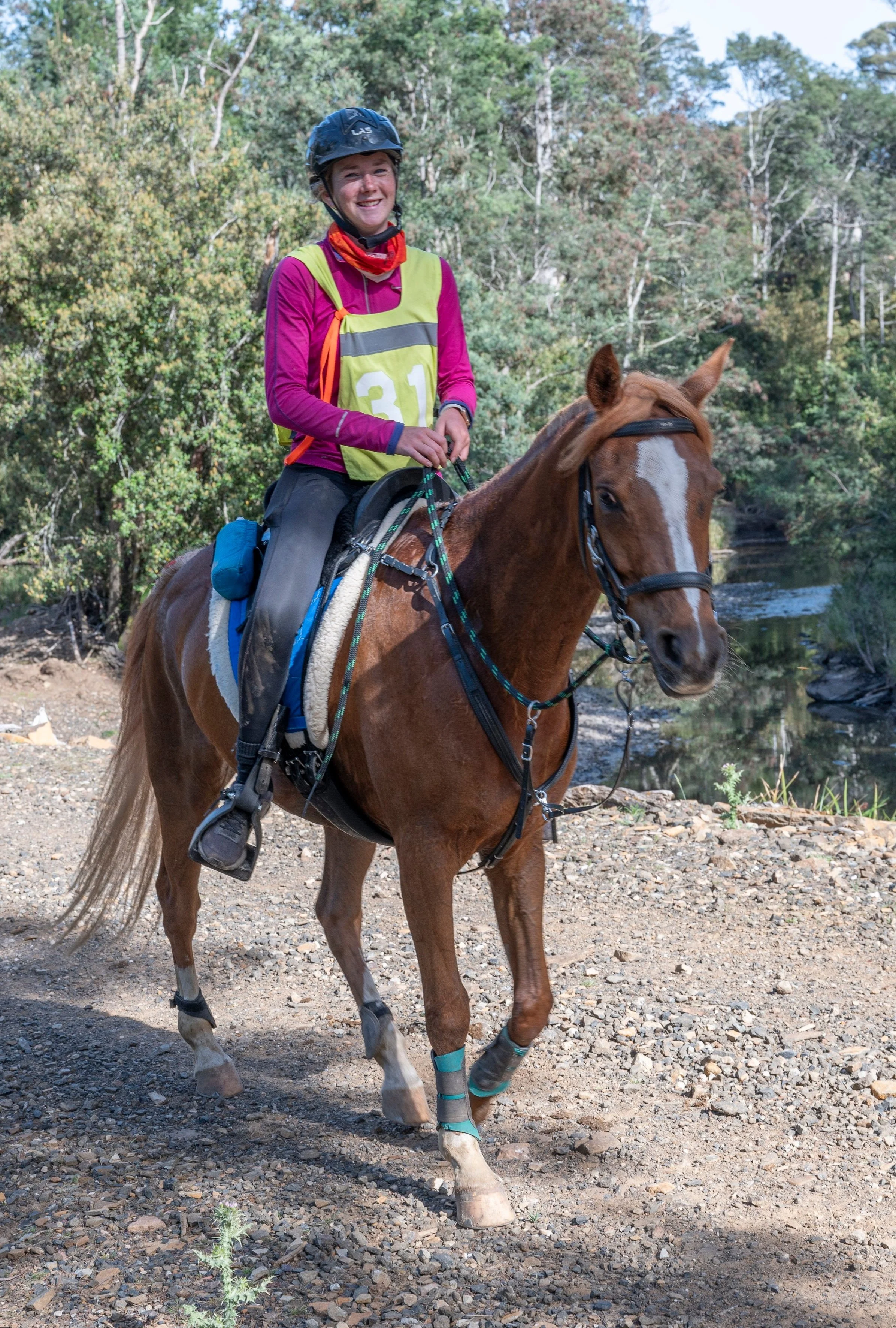 Gallery - 2023 State Champs — Tasmanian Equine Endurance Riders ...