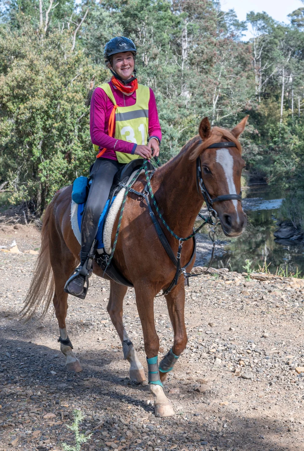 Gallery - 2023 State Champs — Tasmanian Equine Endurance Riders Association Inc.