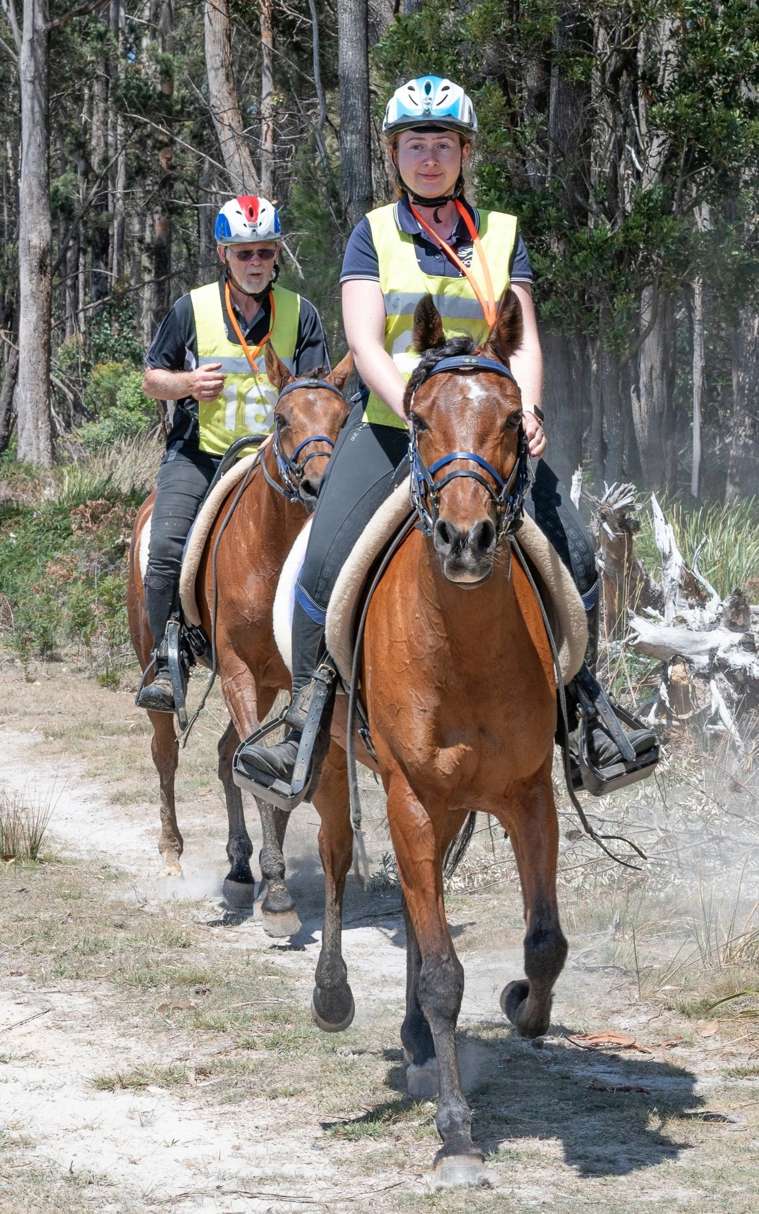 Gallery - 2023 State Champs — Tasmanian Equine Endurance Riders ...
