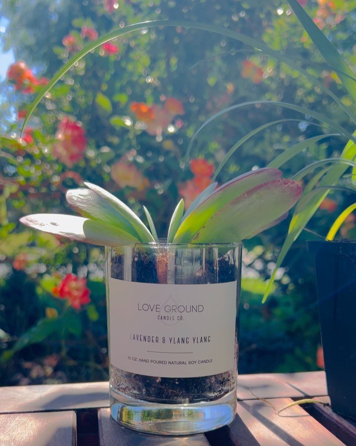 Love Ground Candle Co.