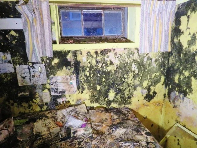 Cromwell Environmental