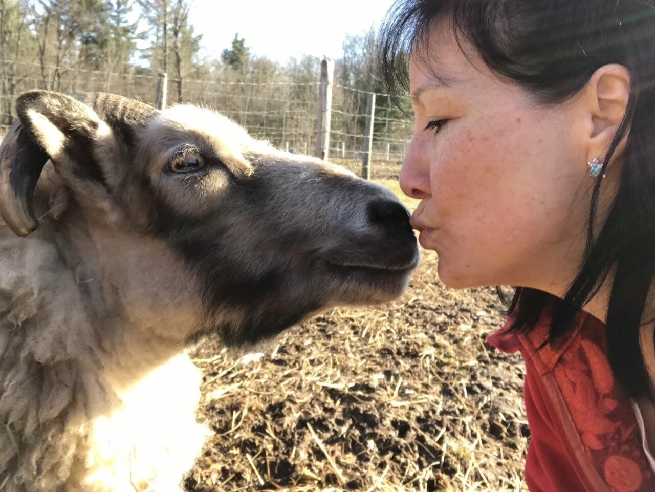 Our Staff — Happily Ever Esther Farm Sanctuary