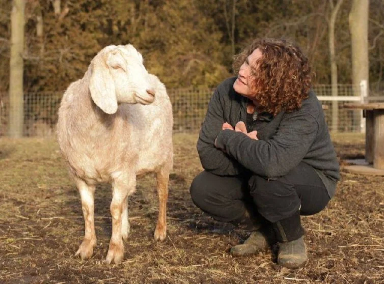 HMF Special Request — Happily Ever Esther Farm Sanctuary