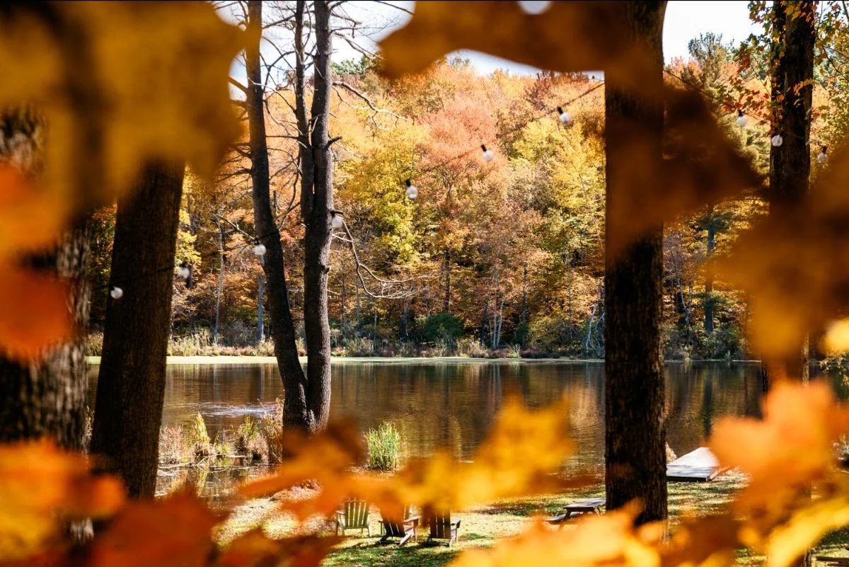 New Offers — Hasbrouck House