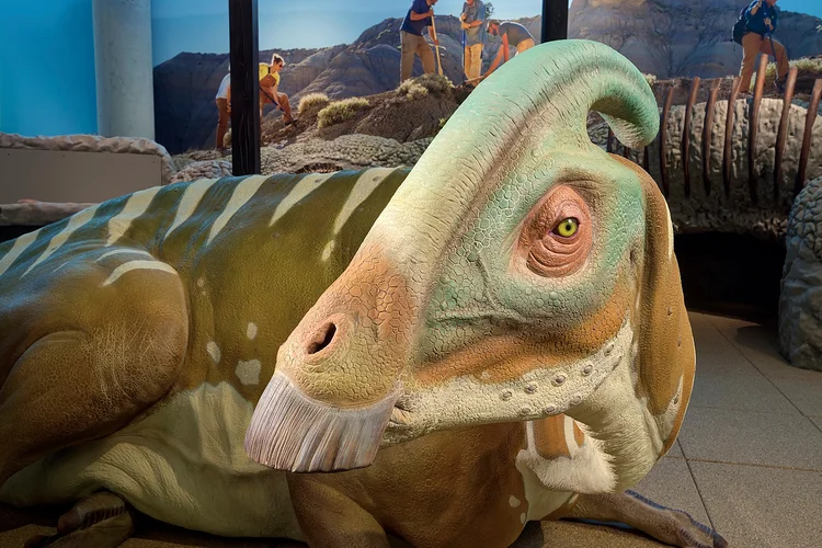 Interactive Exhibits — Blue Rhino Studio