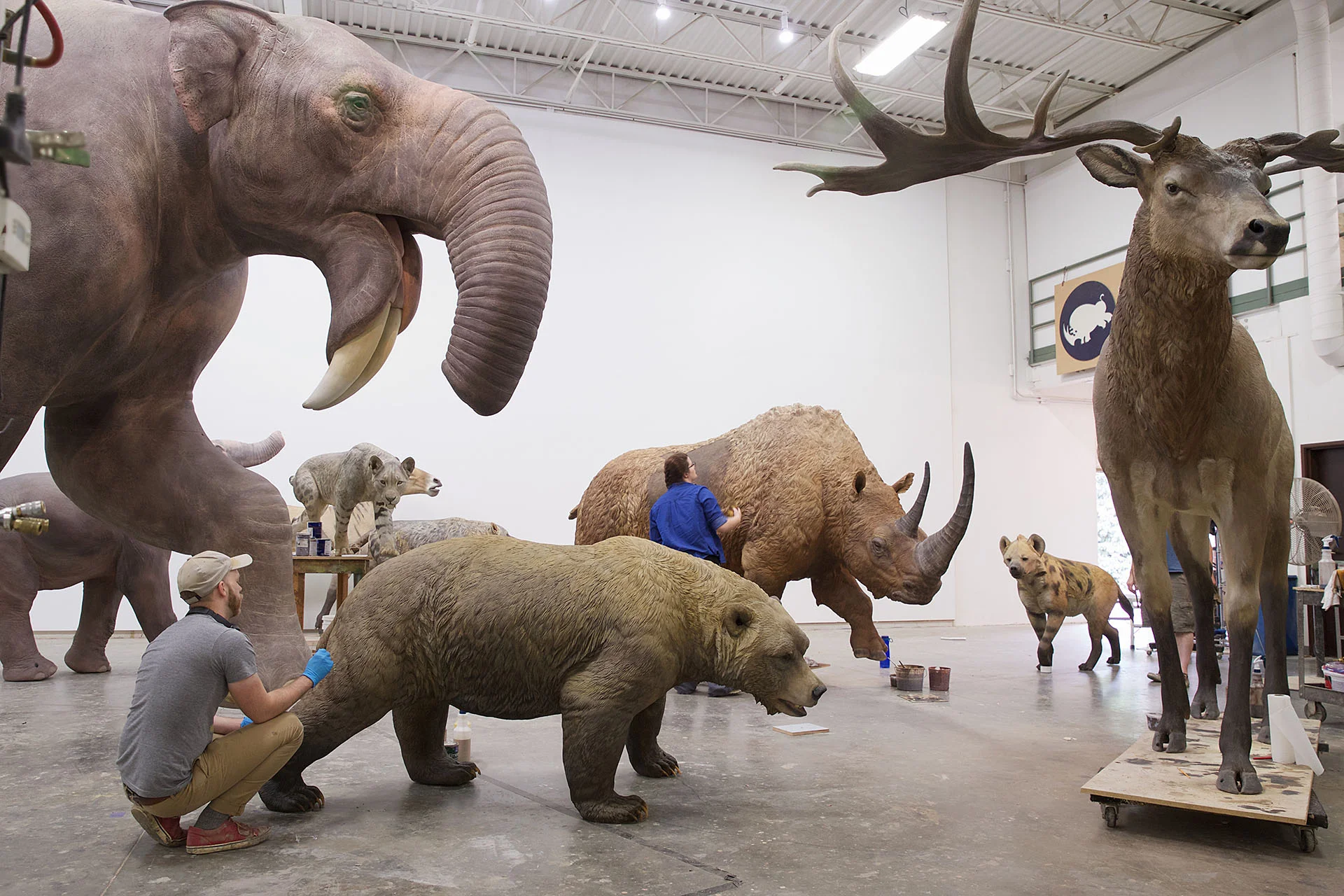 Sheikh Abdullah Al Salem Cultural Centre | Halls of Natural History ...