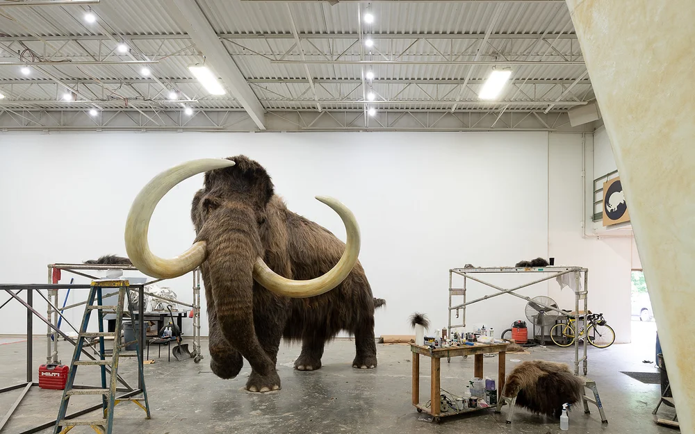 UMN's Bell Museum | ICE AGE Exhibit — Blue Rhino Studio