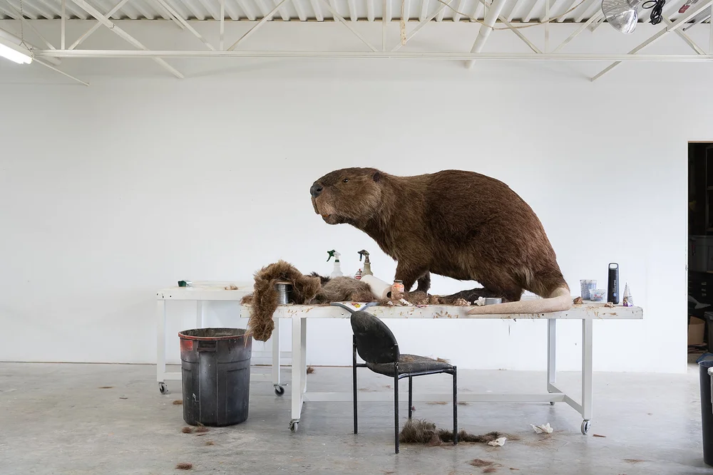 UMN's Bell Museum | ICE AGE Exhibit — Blue Rhino Studio