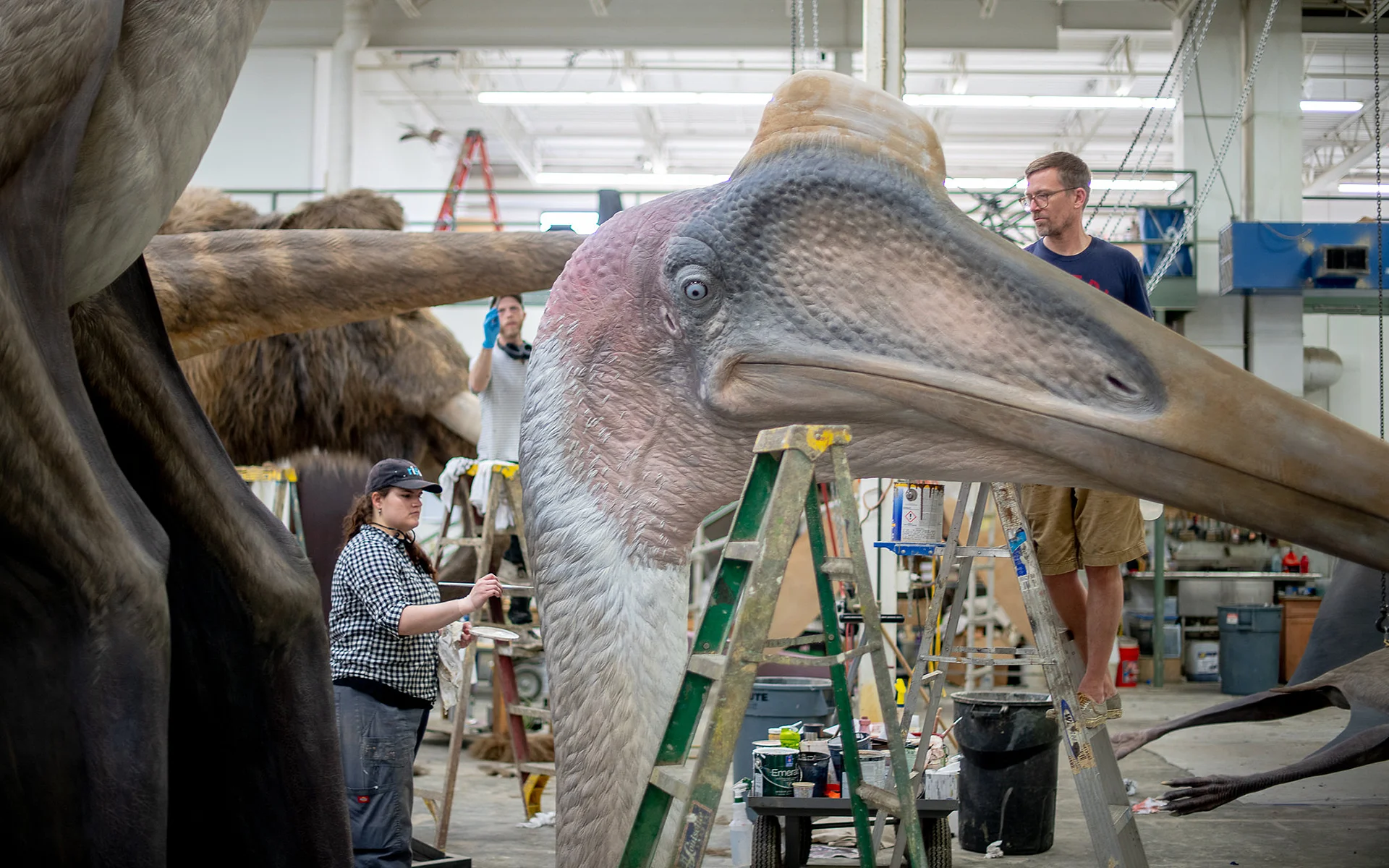 Stanley Field Hall Flying Reptiles — Blue Rhino Studio