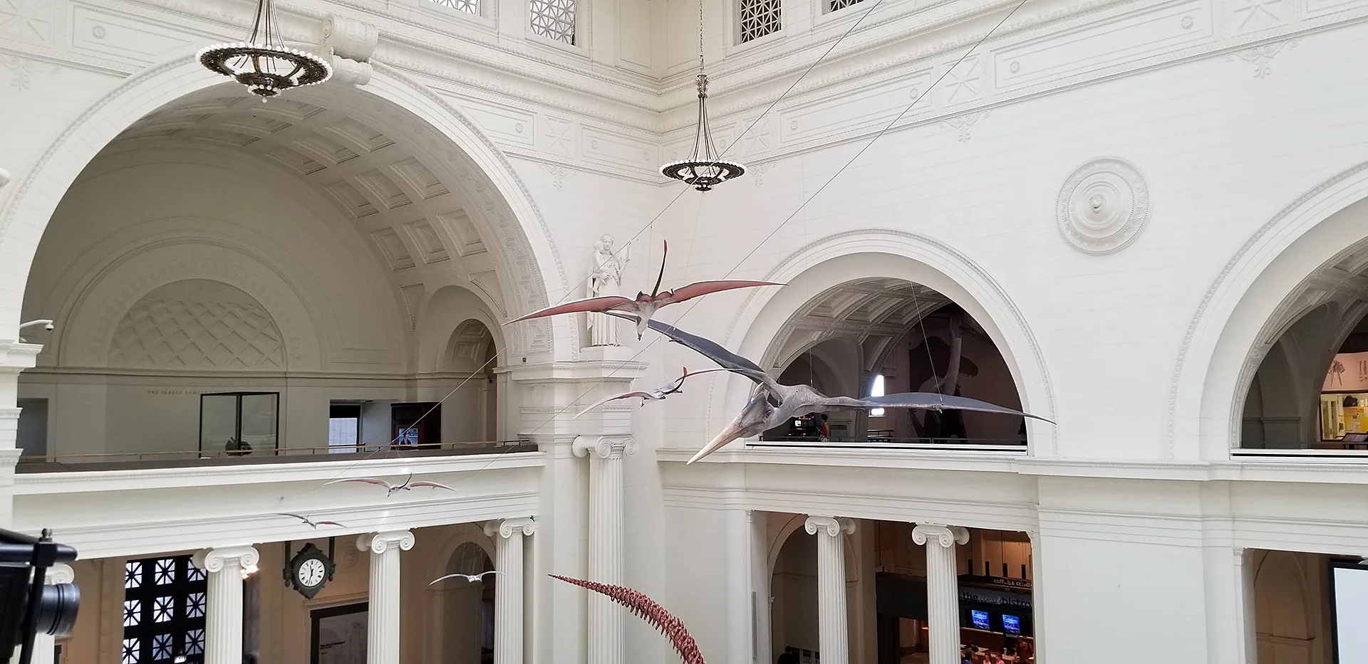 Stanley Field Hall Flying Reptiles — Blue Rhino Studio