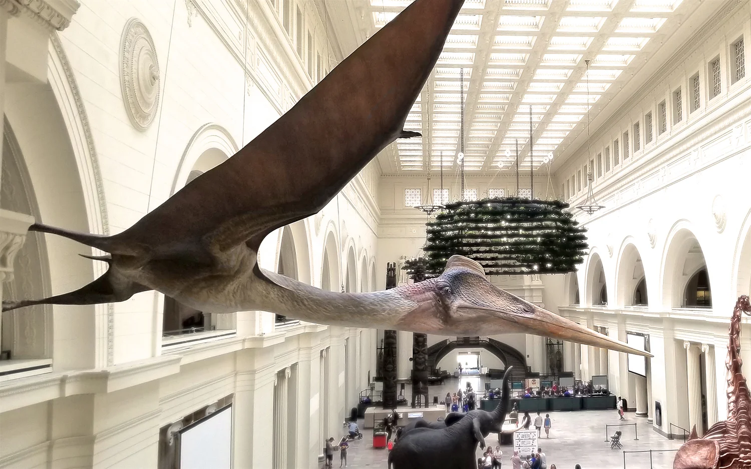 Stanley Field Hall Flying Reptiles — Blue Rhino Studio