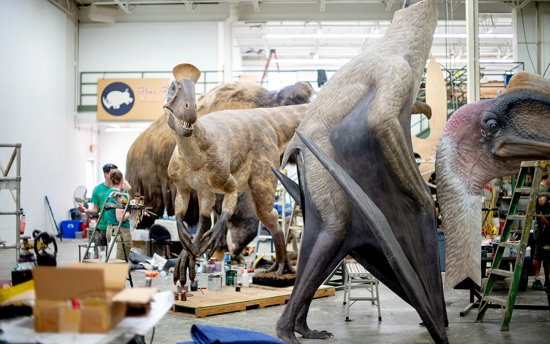 Chicago Field Museum | Antarctic Dinosaurs — Blue Rhino Studio