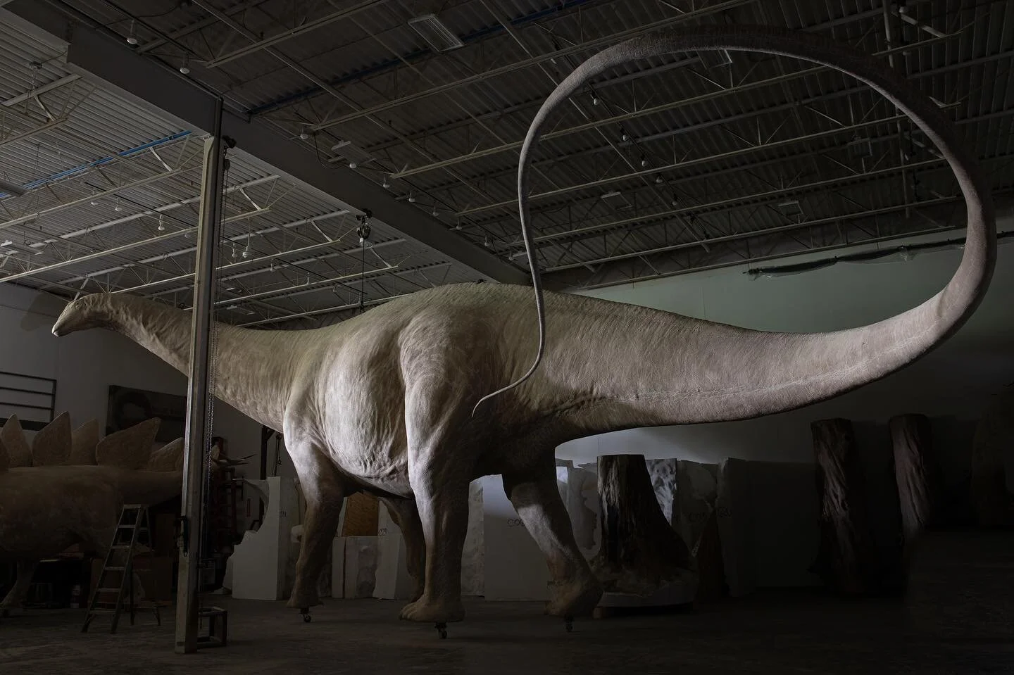 about — Blue Rhino Studio