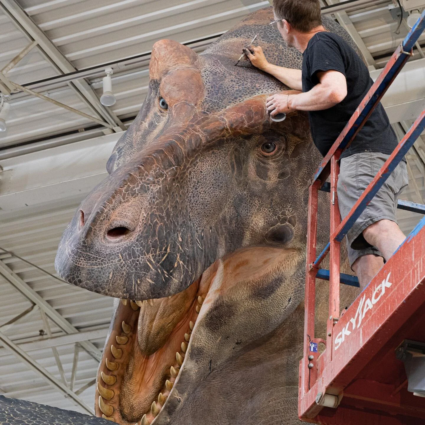 about — Blue Rhino Studio