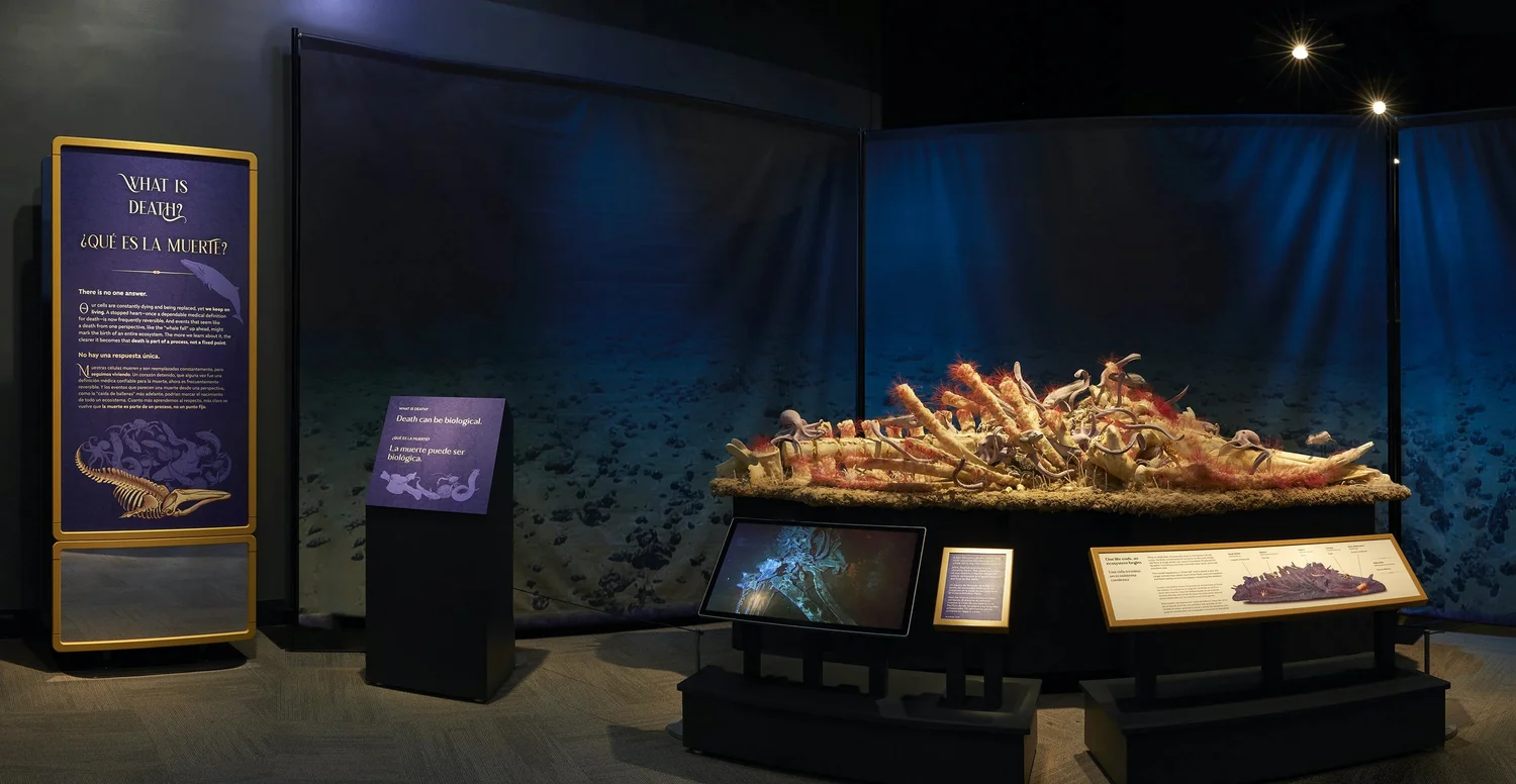 The Field Museum | Death Exhibit — Blue Rhino Studio